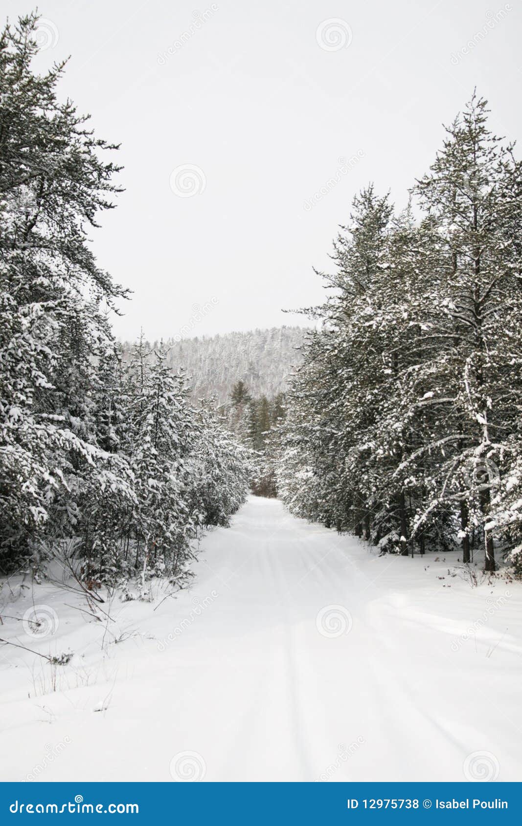 Path with snow stock photo. Image of driving, outdoor - 12975738