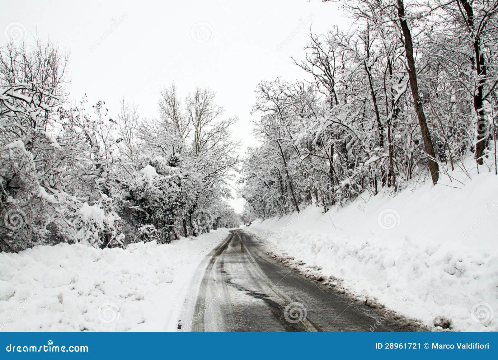 A Path In The Snow Picture. Image: 28961721