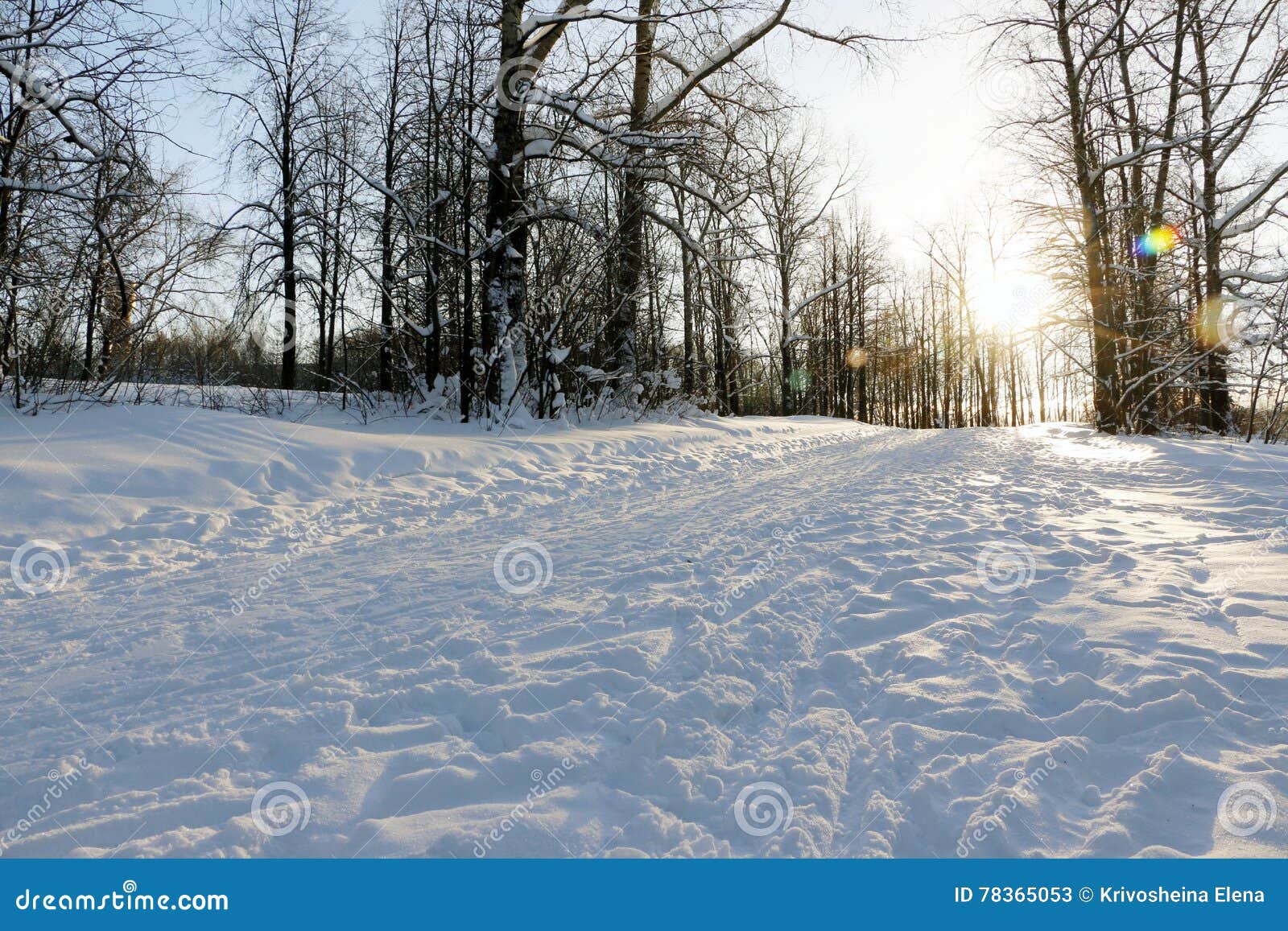 Path in the Snow in a Cold Day Stock Image - Image of activities ...