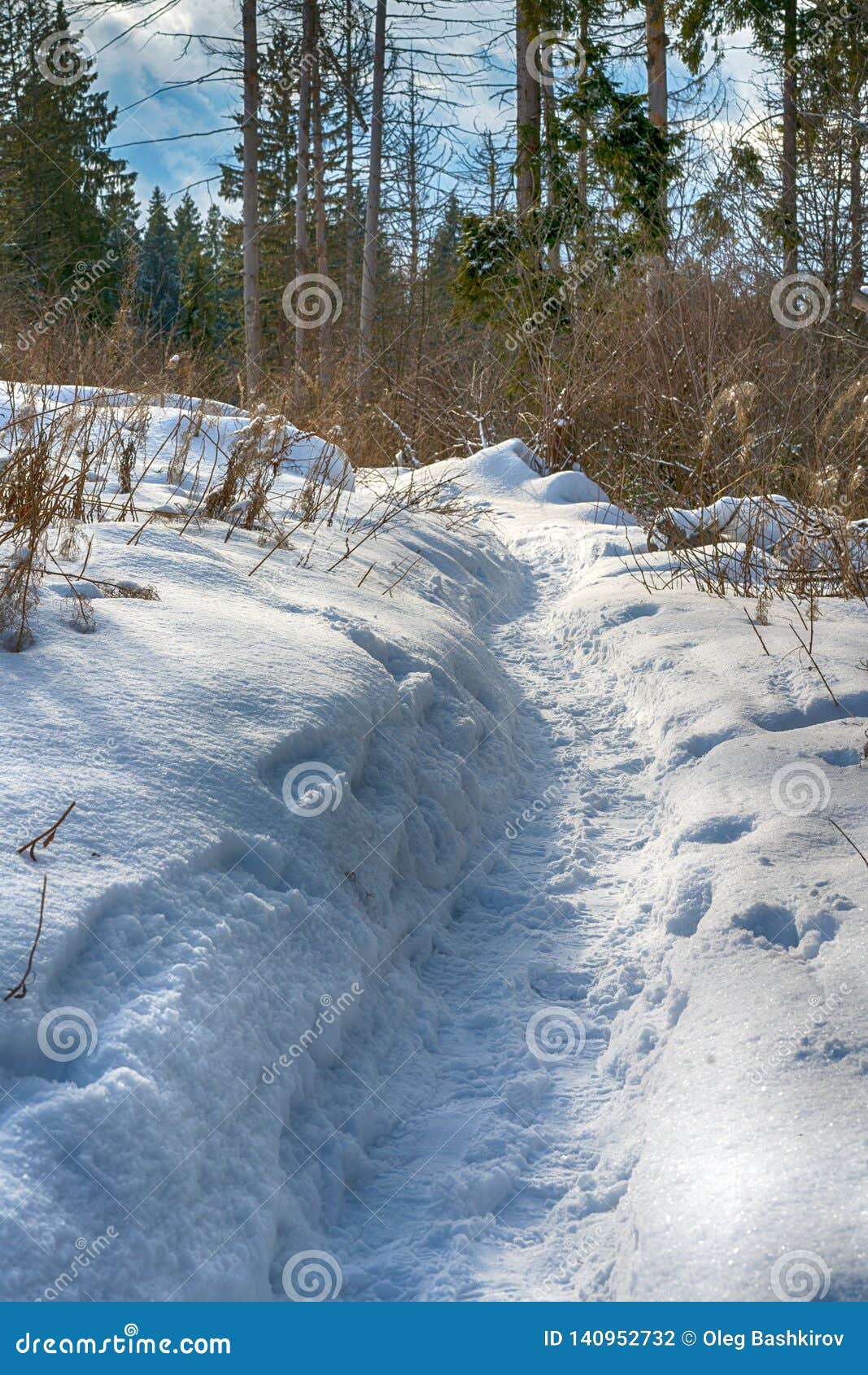 Path in the Snow in Early Spring on a Sunny Day Stock Photo - Image of ...