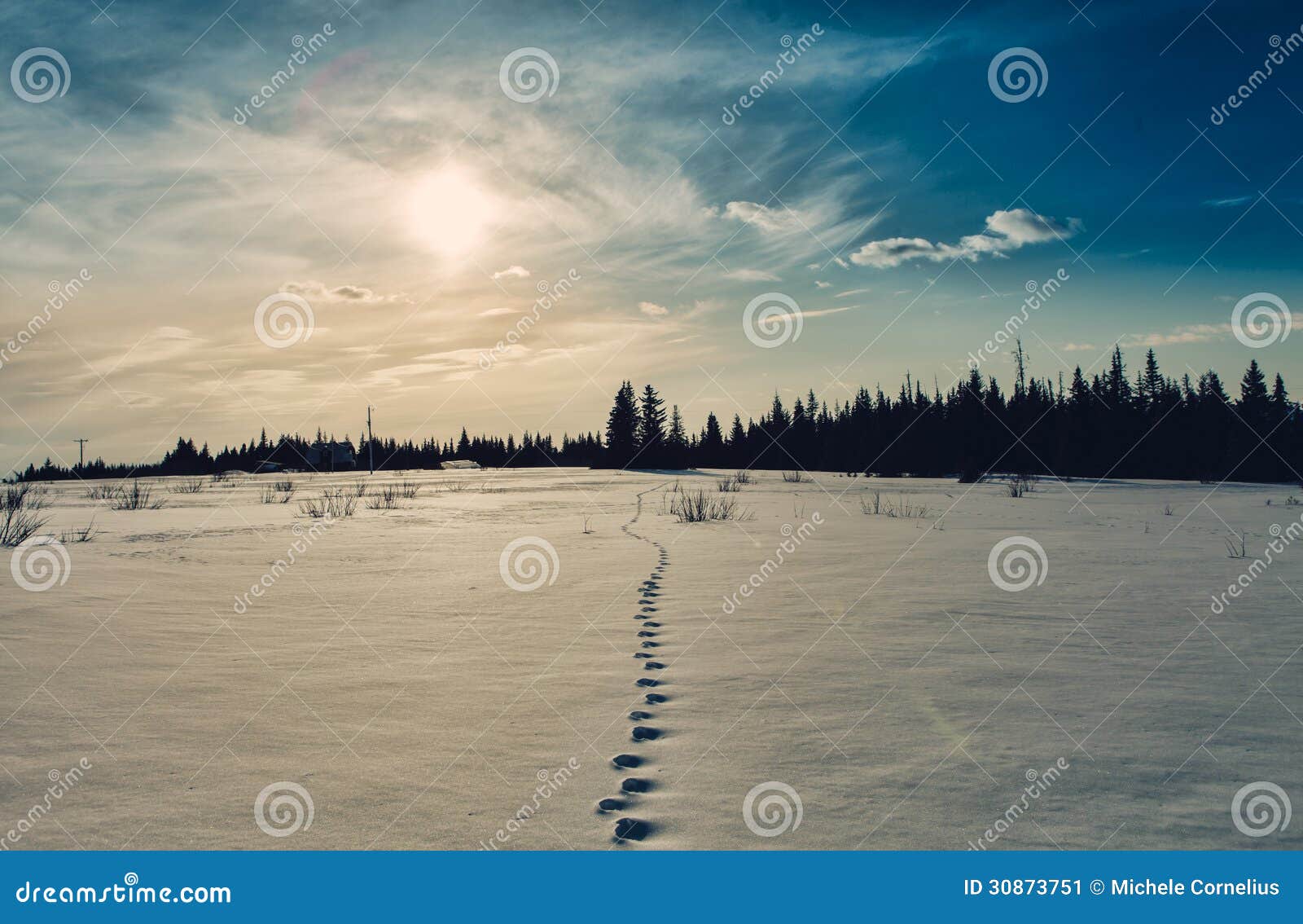 Path through the Snow stock image. Image of clouds, prints - 30873751