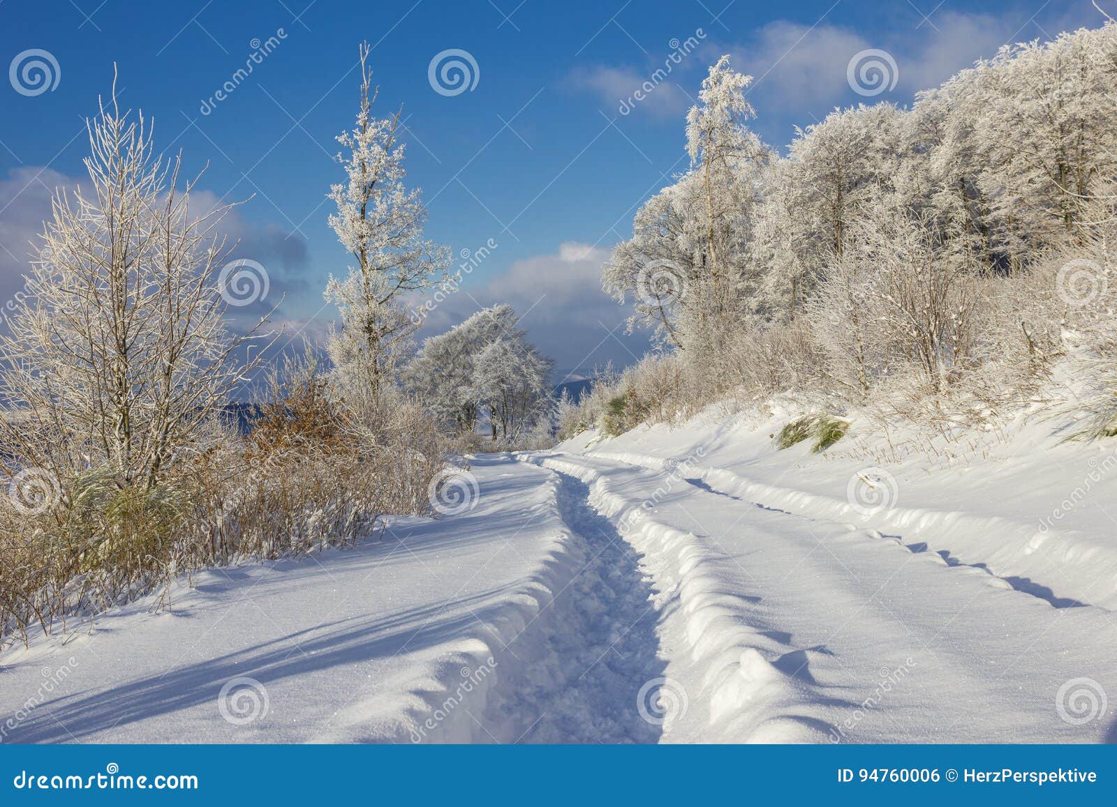 Path in the snow stock photo. Image of scenic, outdoor - 94760006