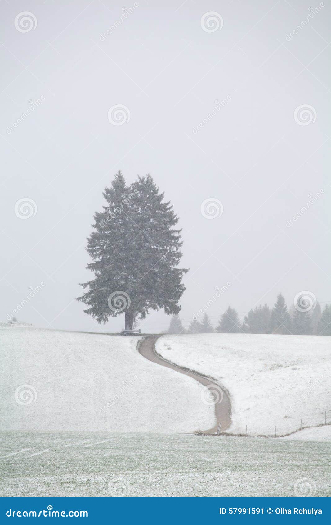Path on Snow Hills during Snowstorm Stock Image - Image of outdoors ...