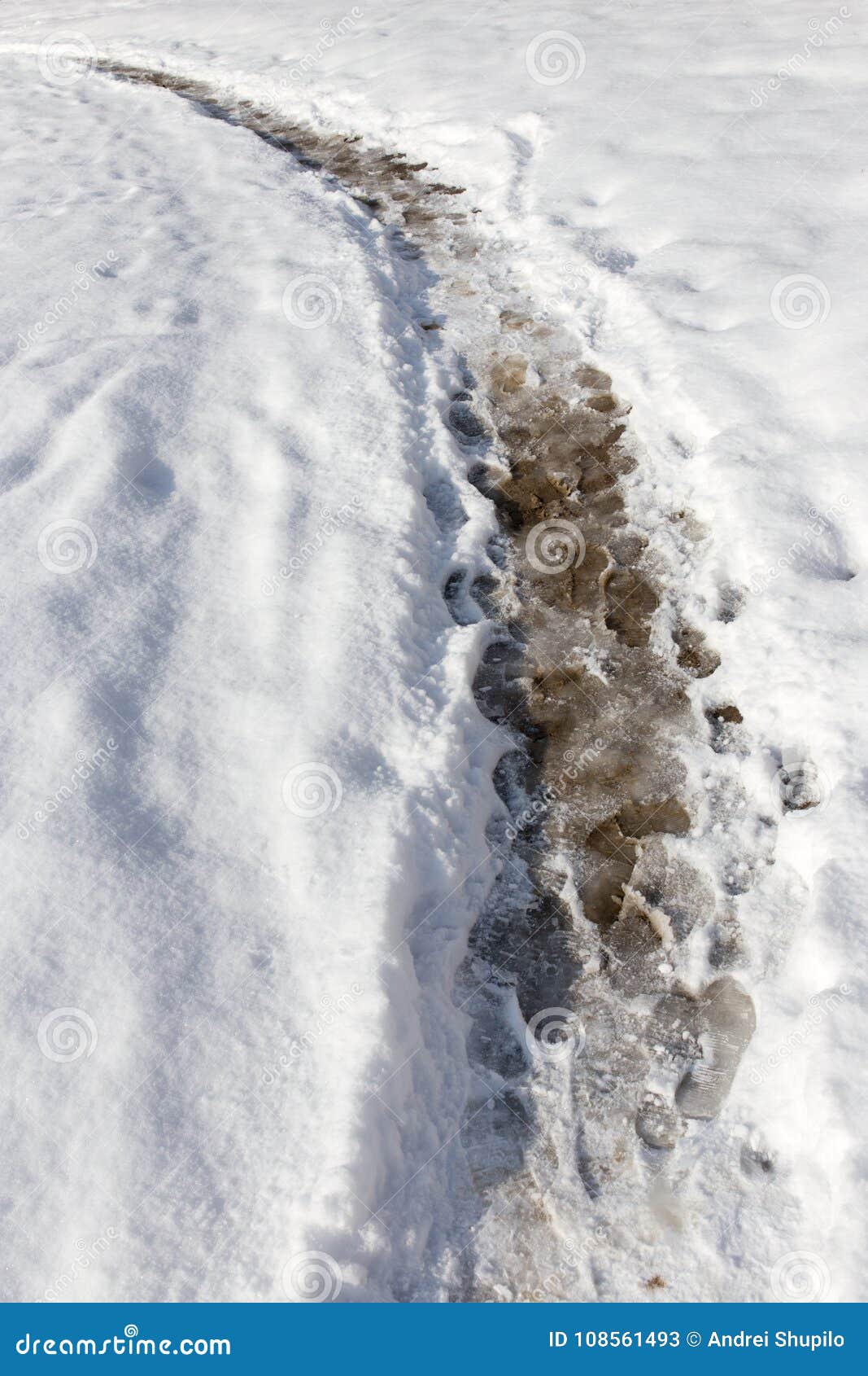 Path in the Snow on the Nature Stock Image - Image of daylight, holes ...