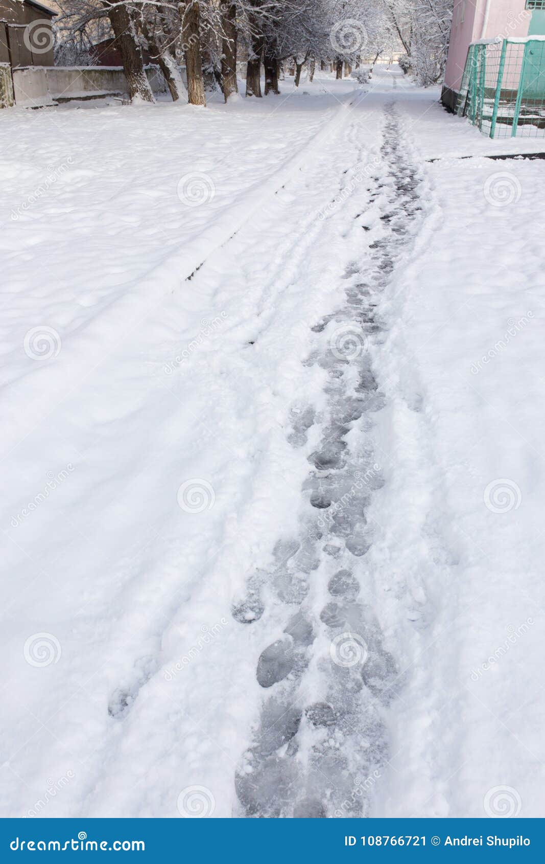 Path in the Snow on the Nature Stock Image - Image of alley, bright ...