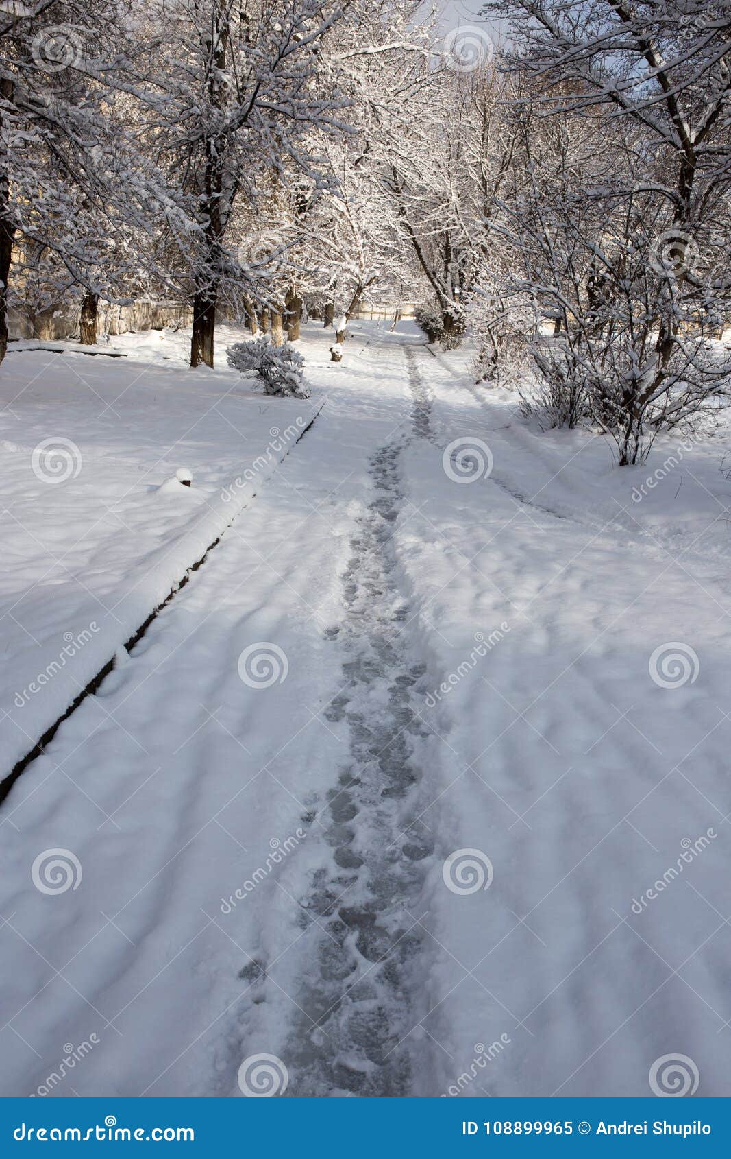 Path in the Snow on the Nature Stock Image - Image of reflection ...