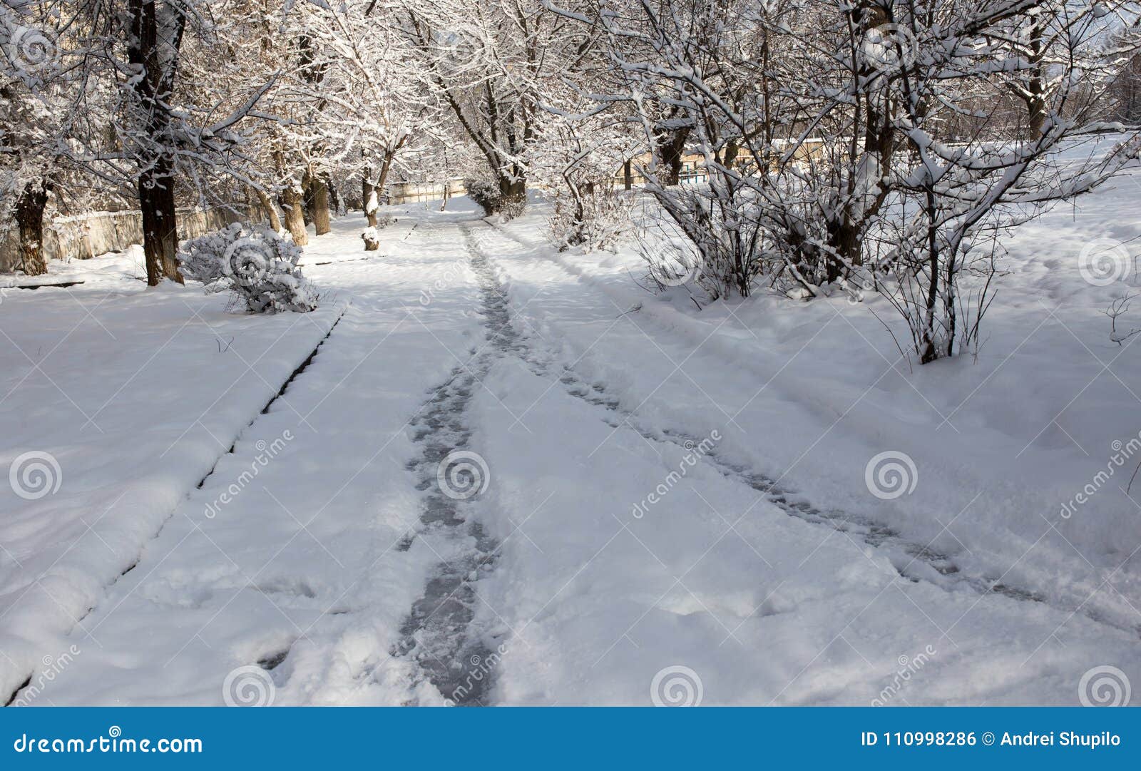 Path in the Snow on the Nature Stock Photo - Image of bright, shade ...