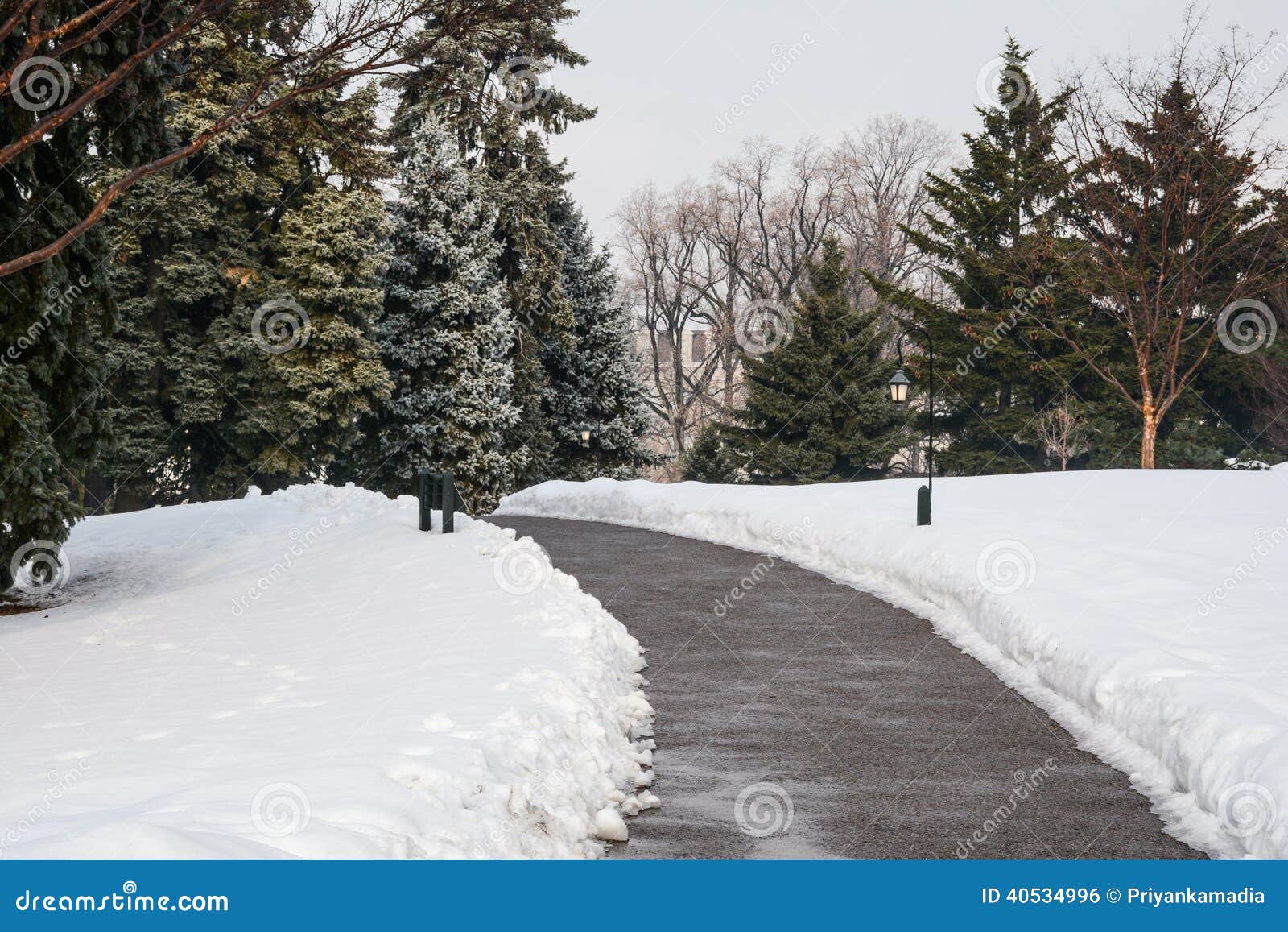 Path through the snow stock photo. Image of garden, road - 40534996