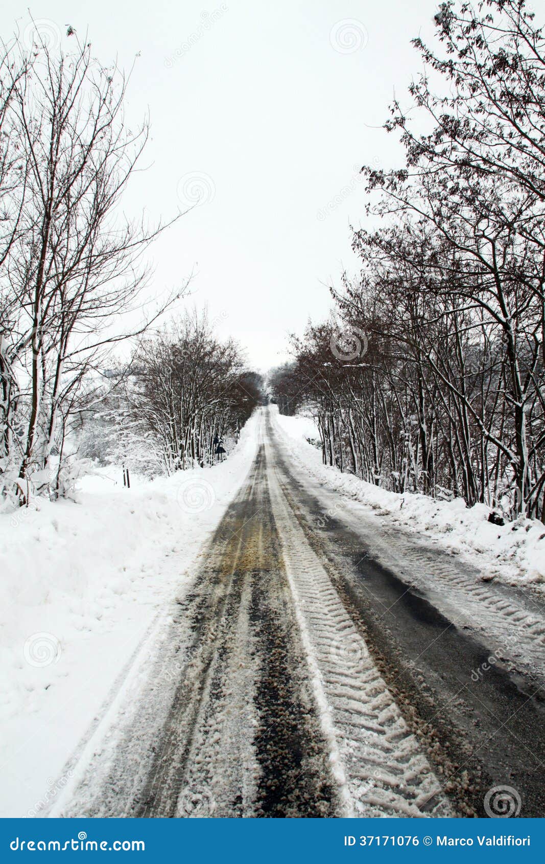A path in the snow stock photo. Image of protected, explore - 37171076