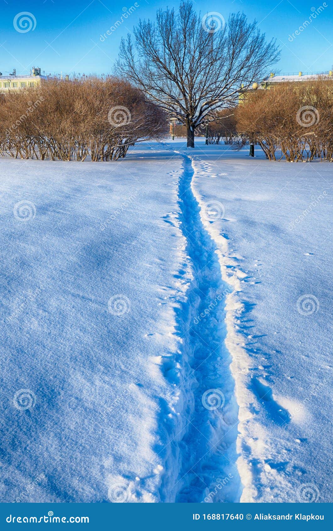 A Path in the Snow Trodden by People Stock Photo - Image of fresh ...