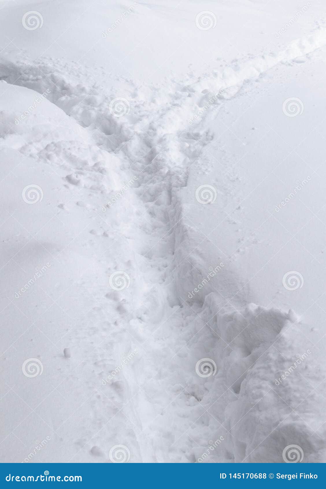 Path in the snow stock photo. Image of seasonal, frosty - 145170688