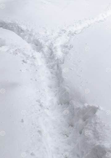 Path in the snow stock photo. Image of seasonal, frosty - 145170688