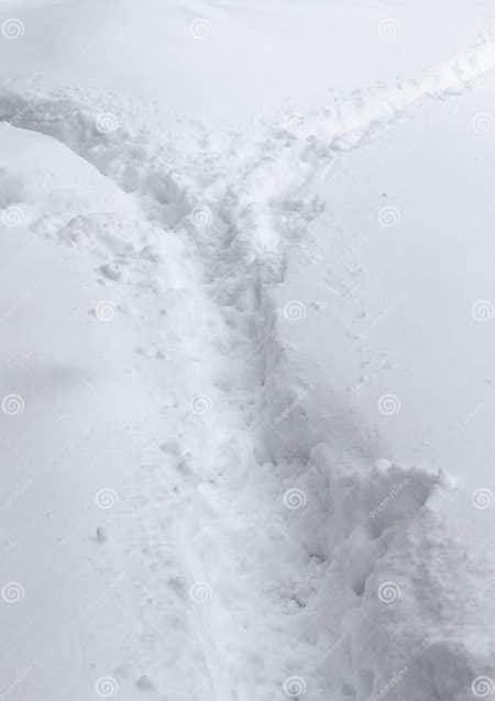 Path in the snow stock photo. Image of seasonal, frosty - 145170688