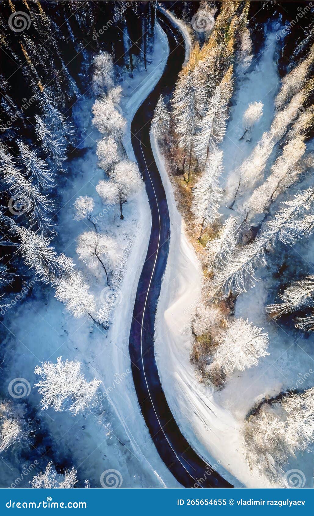 Path through the Snowy Forest, Top View from the Throne. Winter ...