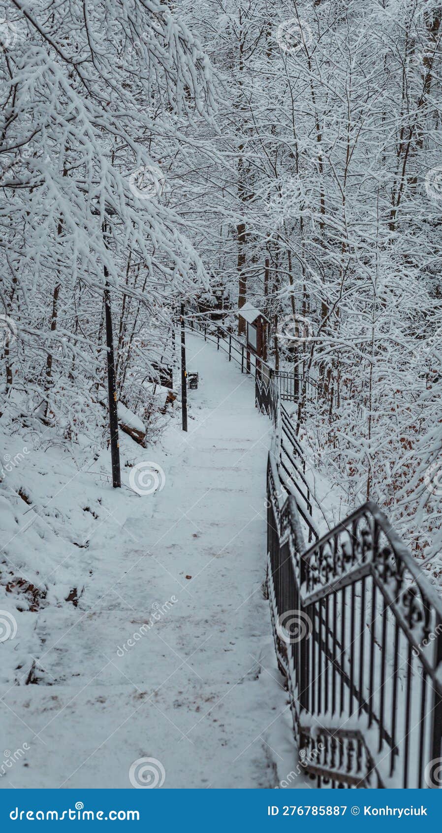 Path in the Snowy Mountain Park Stock Image - Image of architectural ...