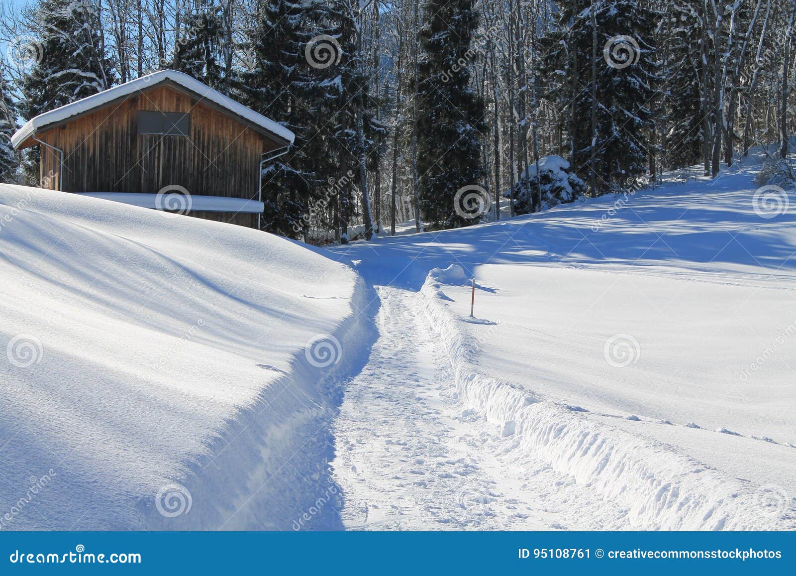 Path Through Snowy Yard Picture. Image: 95108761
