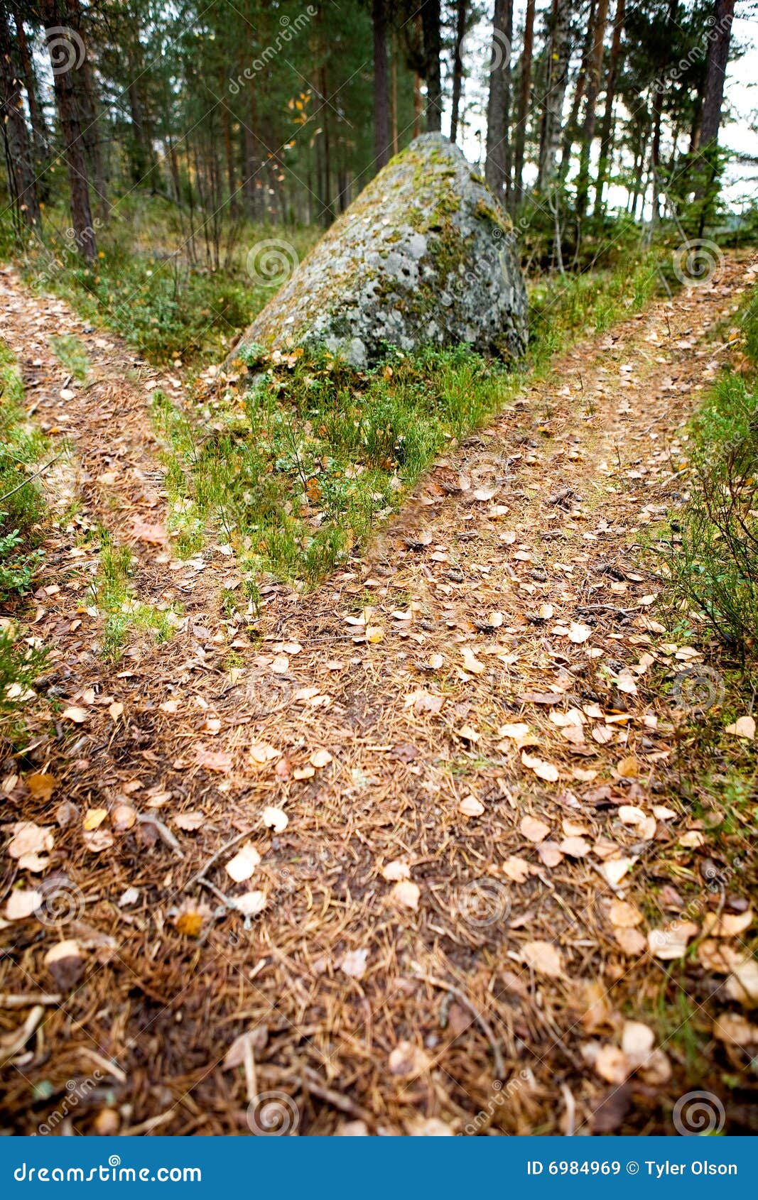 Path Split stock image. Image of hard, rural, travel, difficult - 6984969