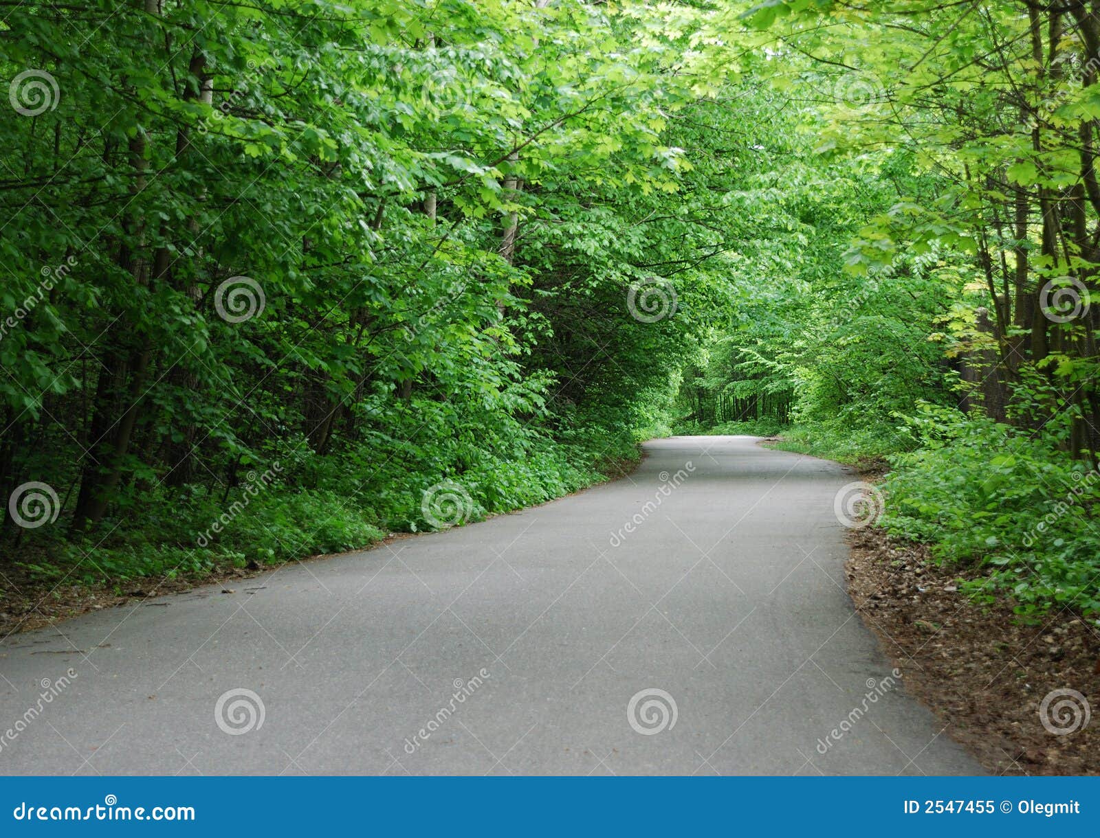 Path in spring park stock image. Image of curve, forest - 2547455