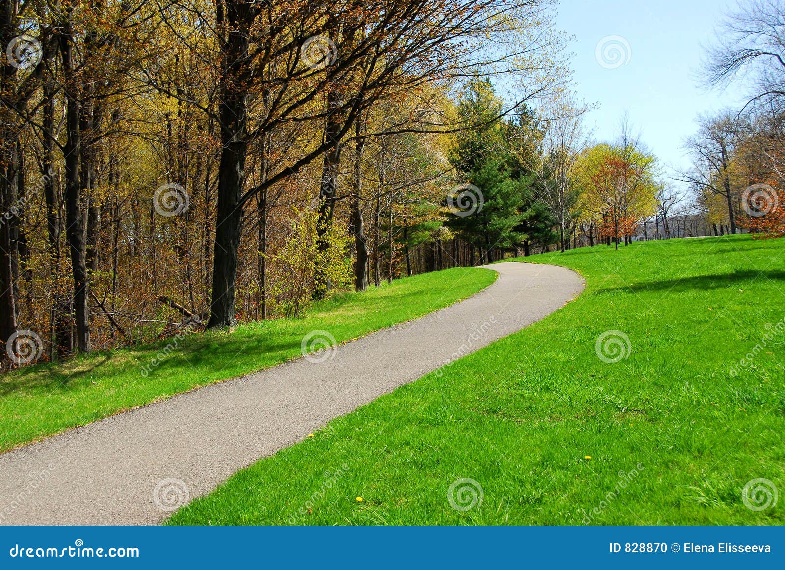 Path spring park stock photo. Image of spring, path, park - 828870