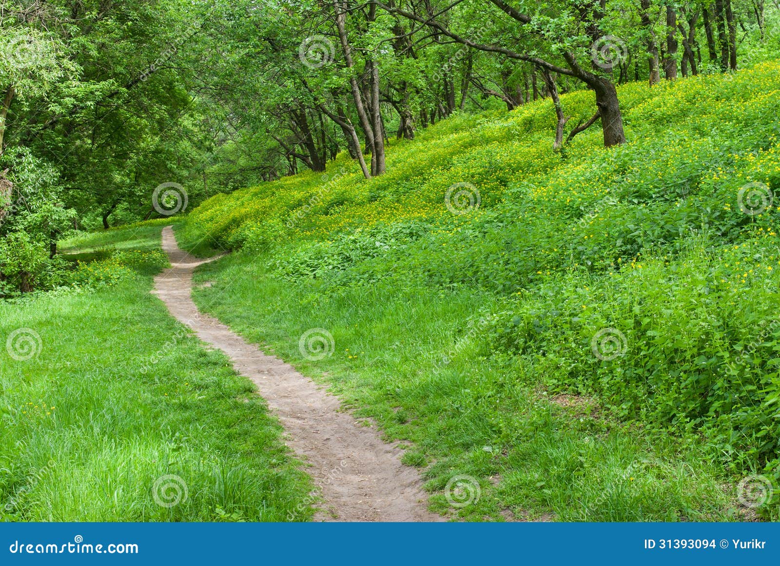 Path in spring park stock photo. Image of serene, city - 31393094