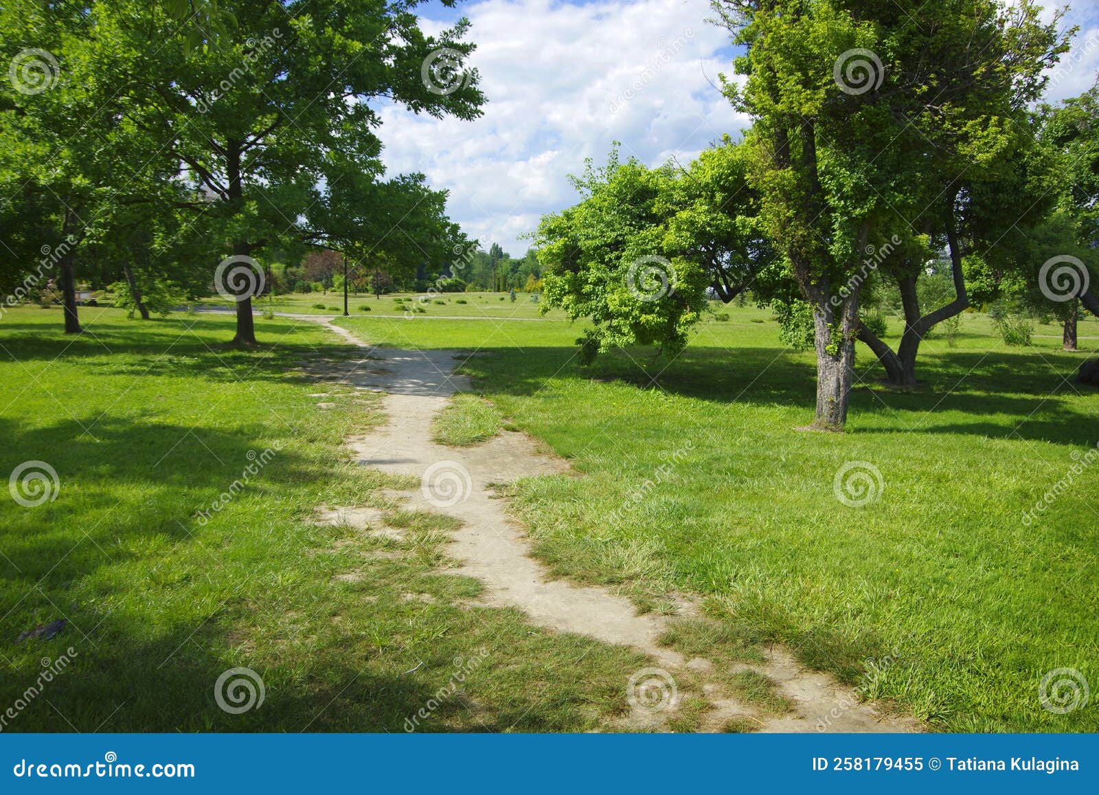Path in Spring Park among Green Trees. Stock Image - Image of bench ...