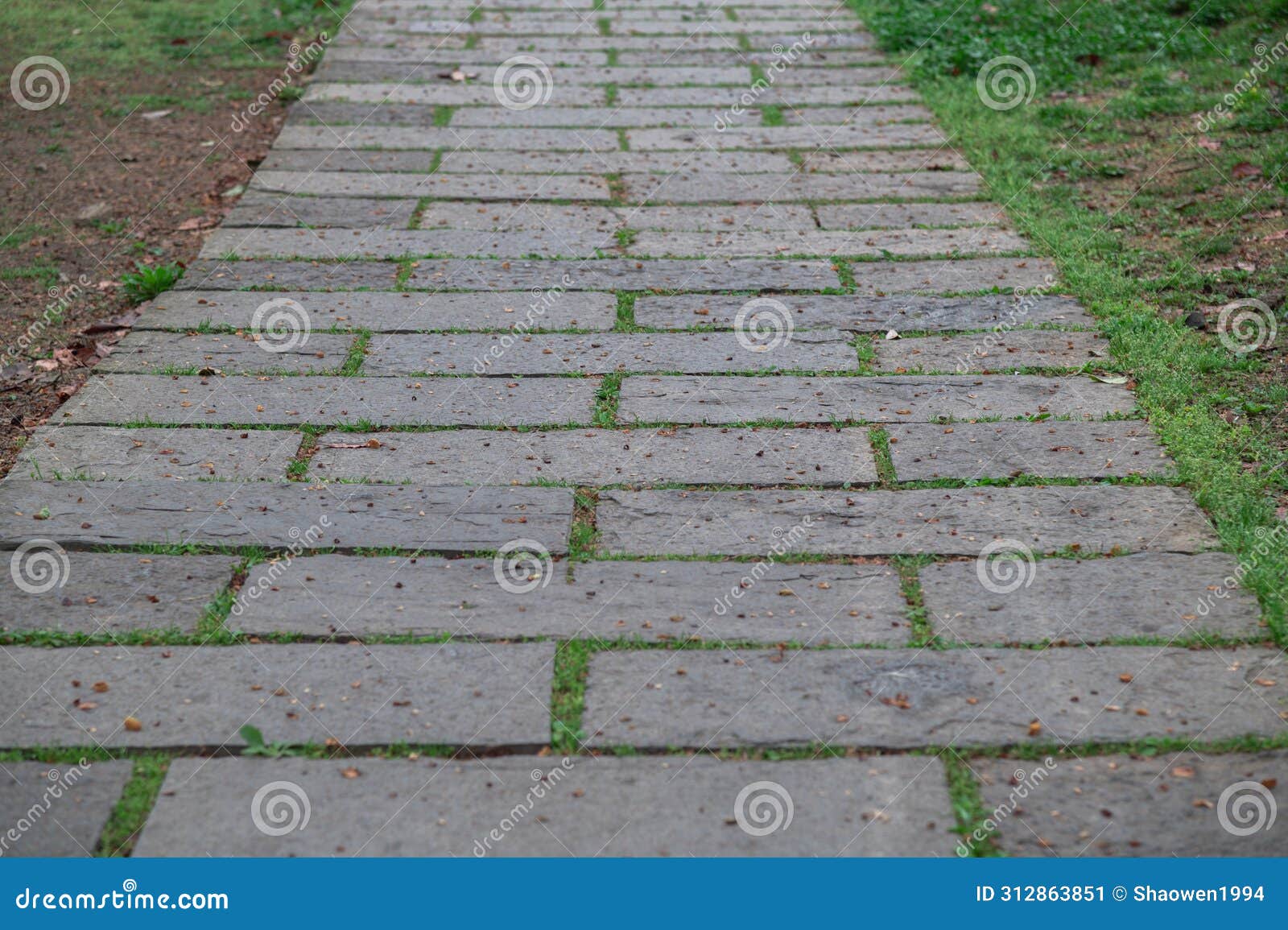 The Path in the Spring Park. after Rain. Stock Image - Image of ...