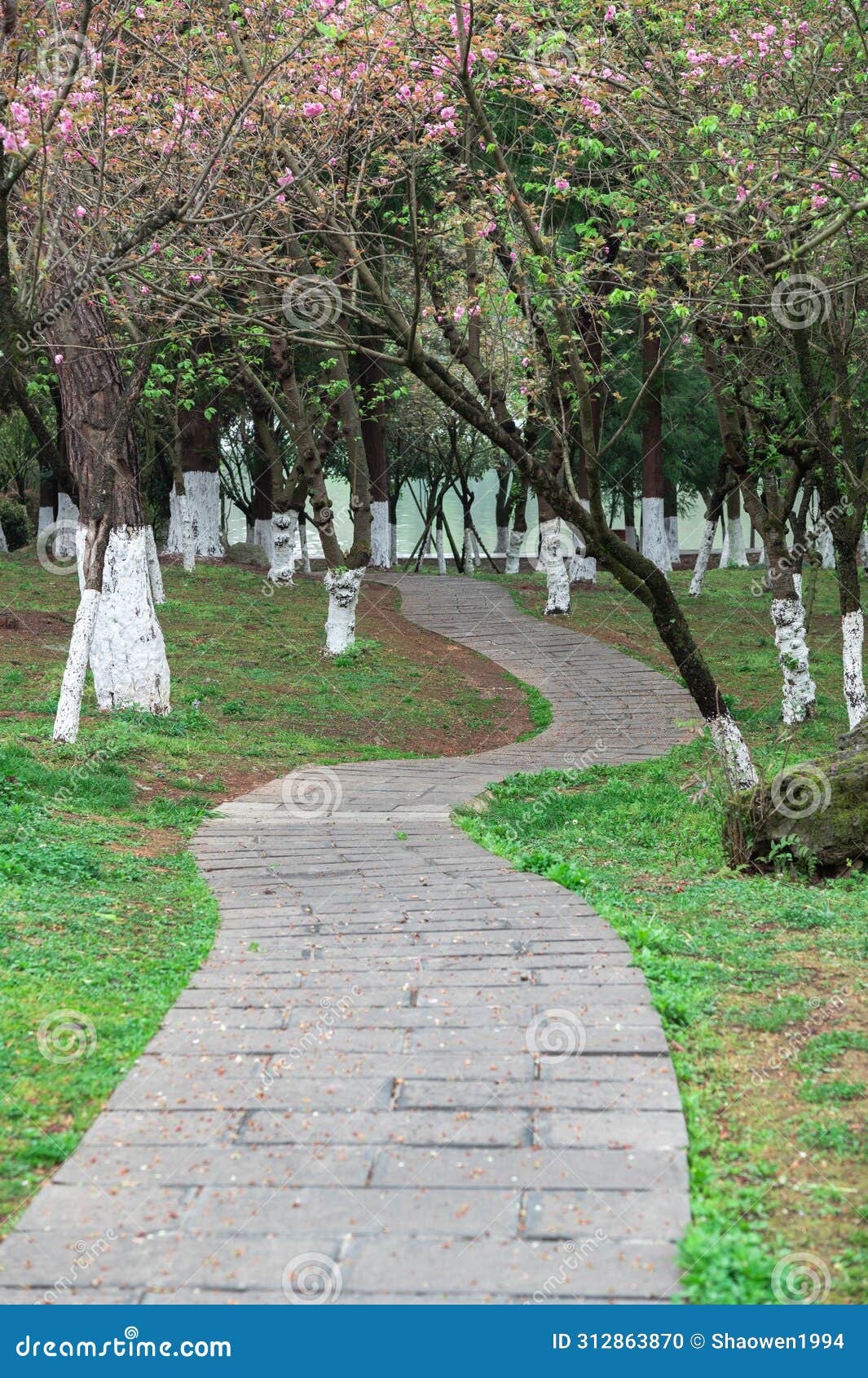 The Path in the Spring Park. after Rain. Stock Photo - Image of ...