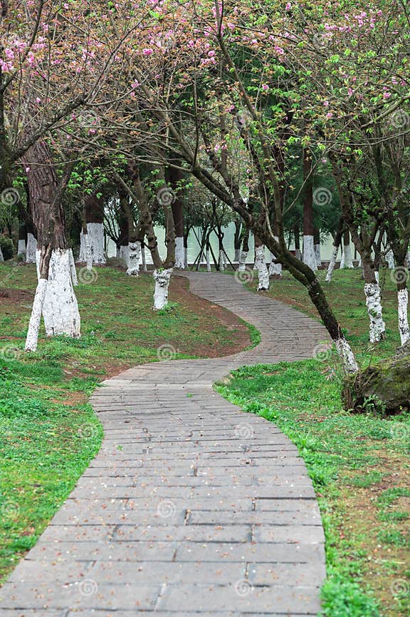 The Path in the Spring Park. after Rain. Stock Photo - Image of ...