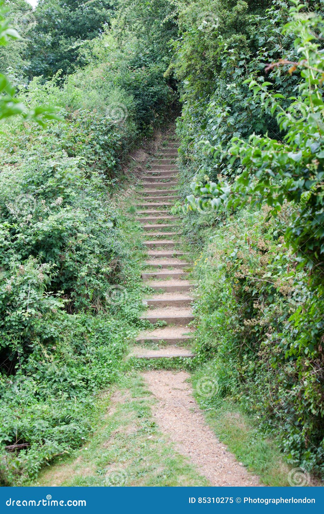 Path of Stairs in British Park Stock Image - Image of woodland, bush ...