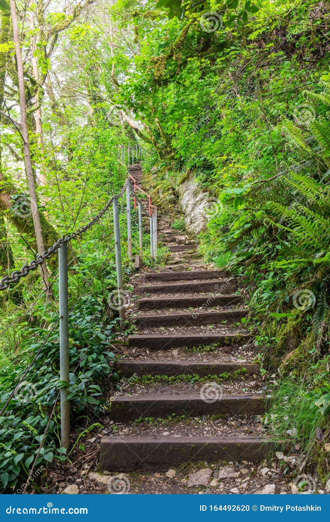 Path with Steps Carved into a Sheer Cliff Stock Photo - Image of ...