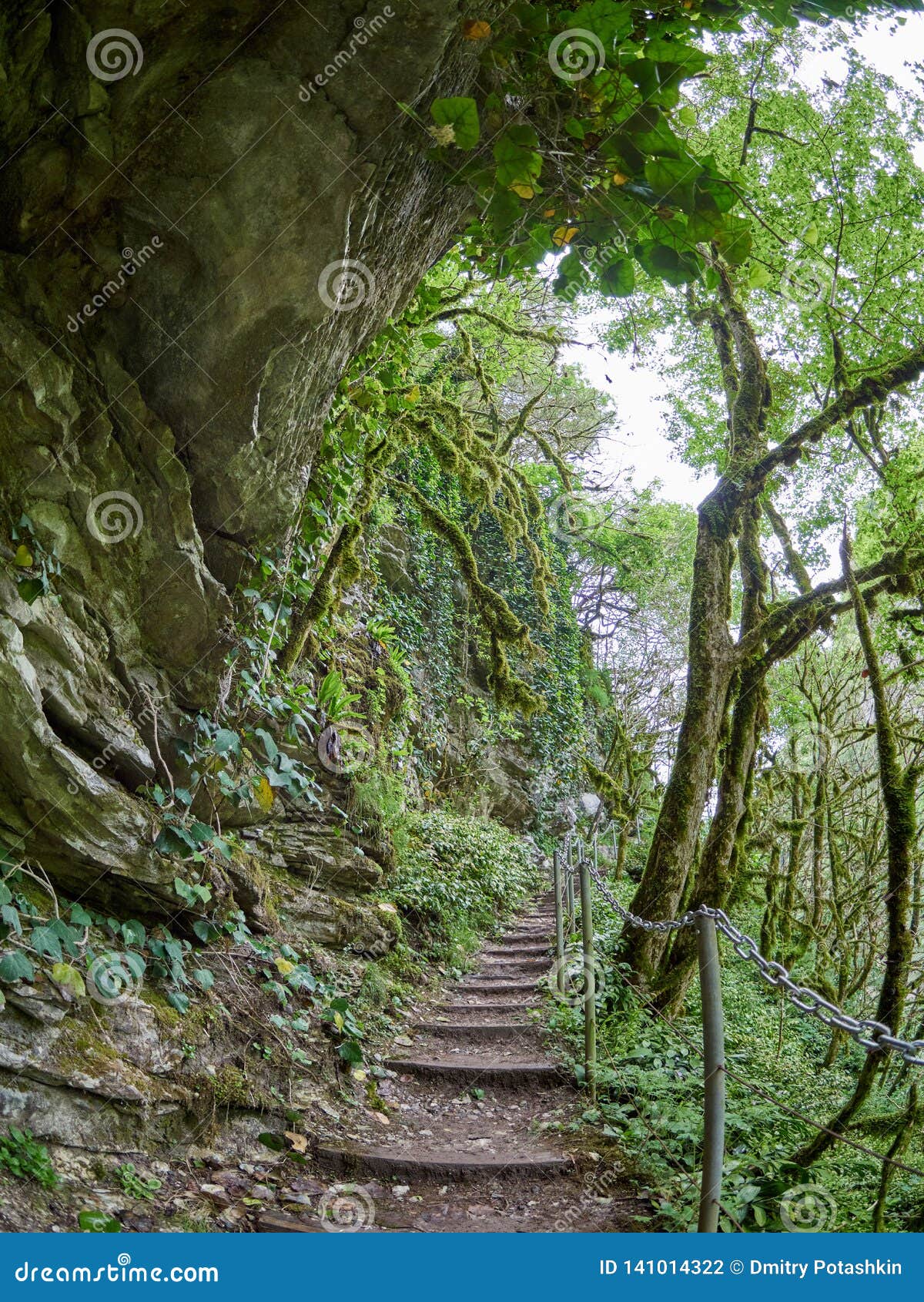 Path with Steps Carved into a Sheer Cliff Stock Photo - Image of park ...