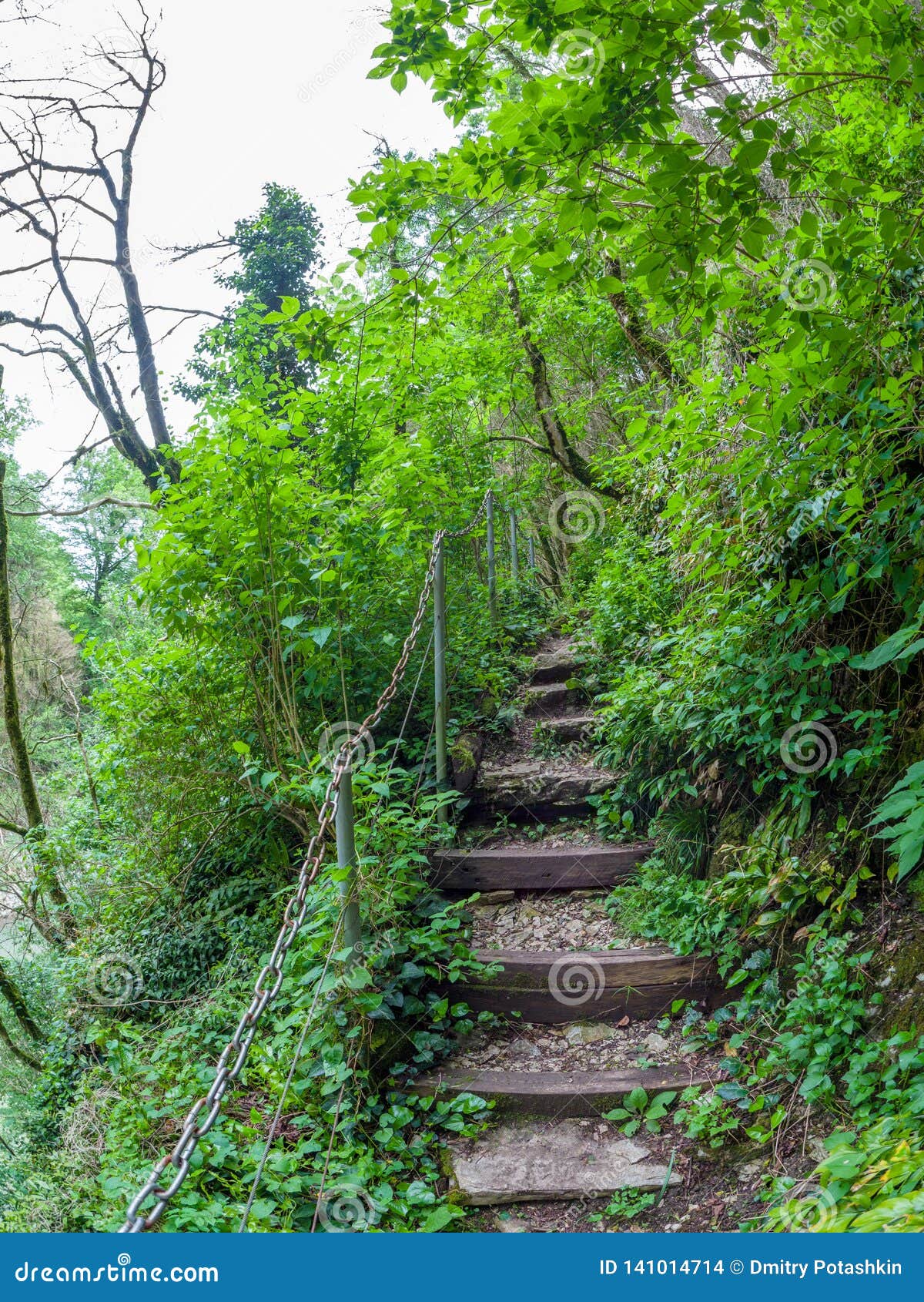 Path with Steps Carved into a Sheer Cliff Stock Photo - Image of ...