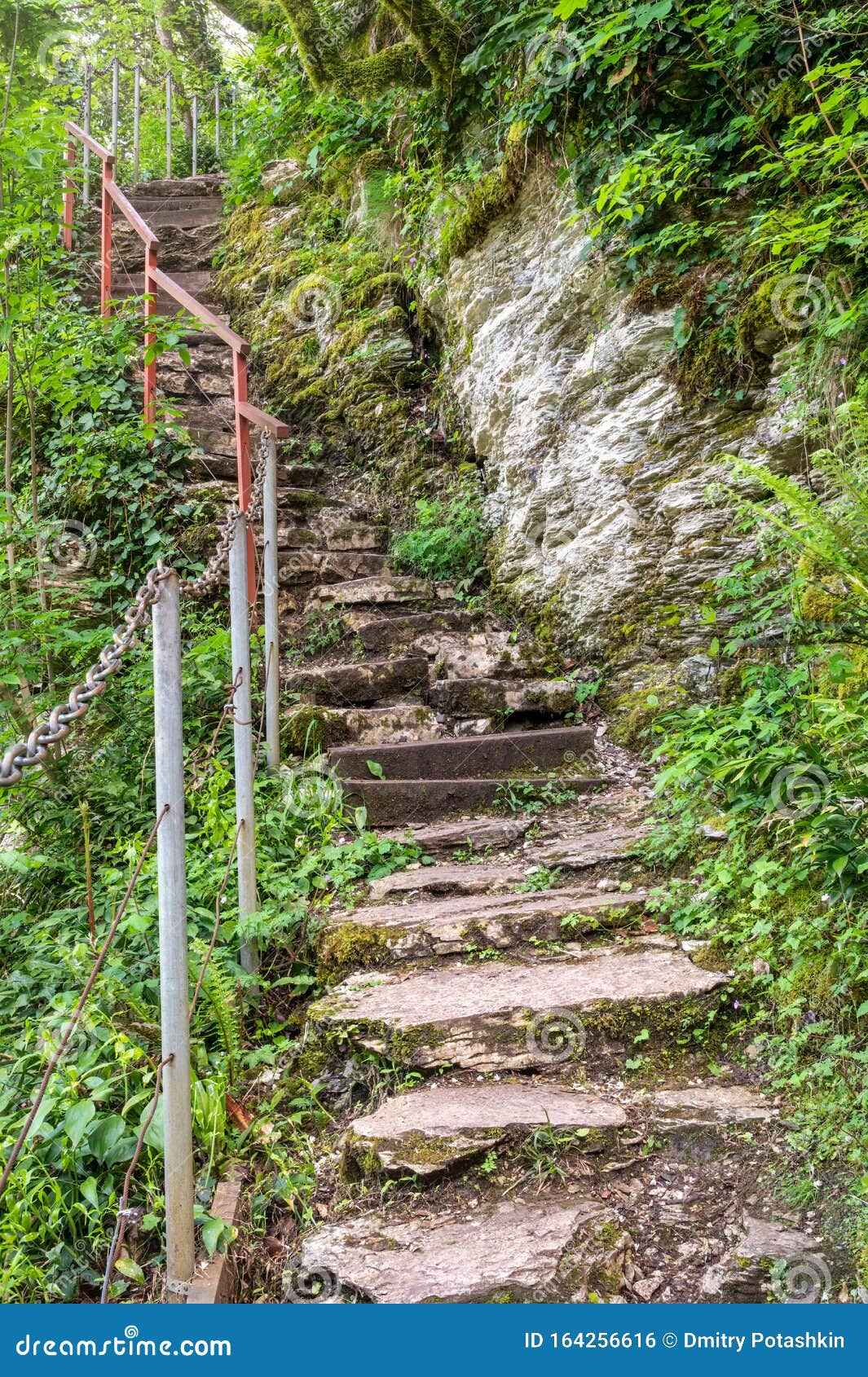 Path with Steps Carved into a Sheer Cliff Stock Photo - Image of ...