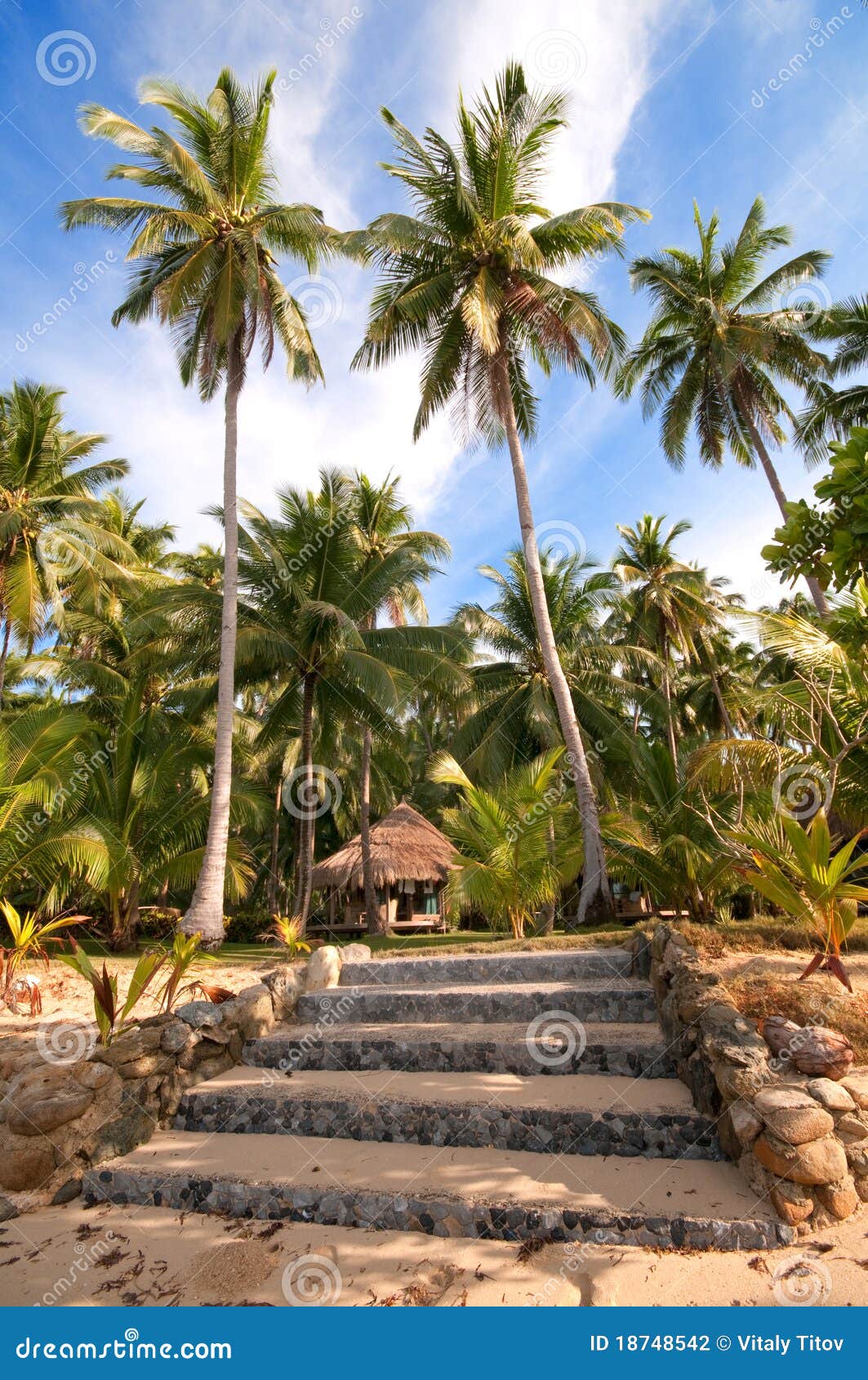Path with Steps To a Tropical Villa at the Beach Stock Photo - Image of ...