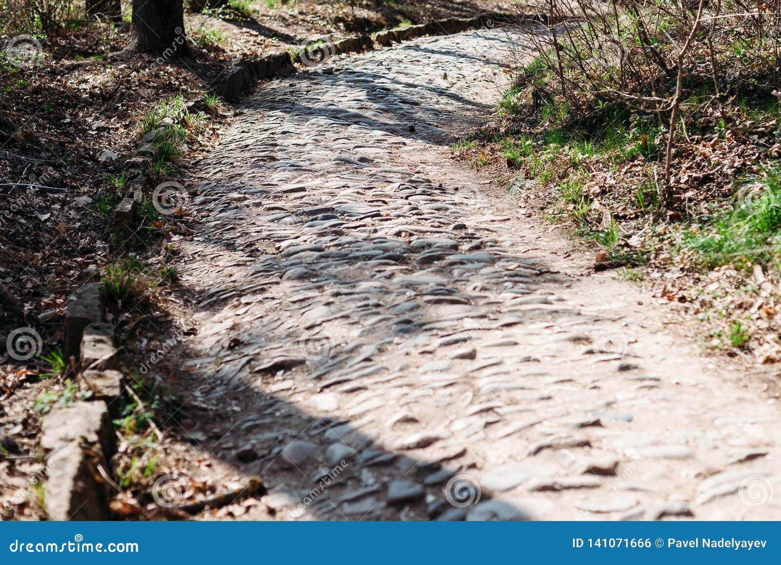 Path Stone Paved in the Park, in Forest Stock Photo - Image of stone ...