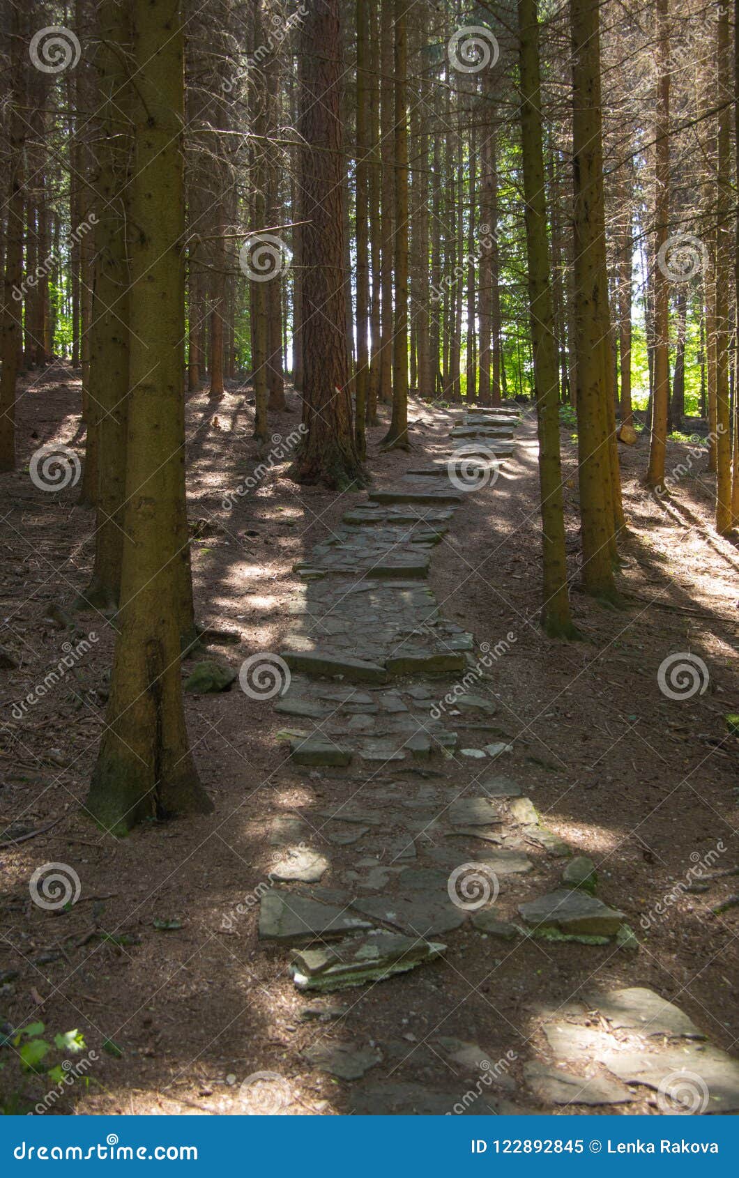 Path with stone steps stock image. Image of outdoors - 122892845