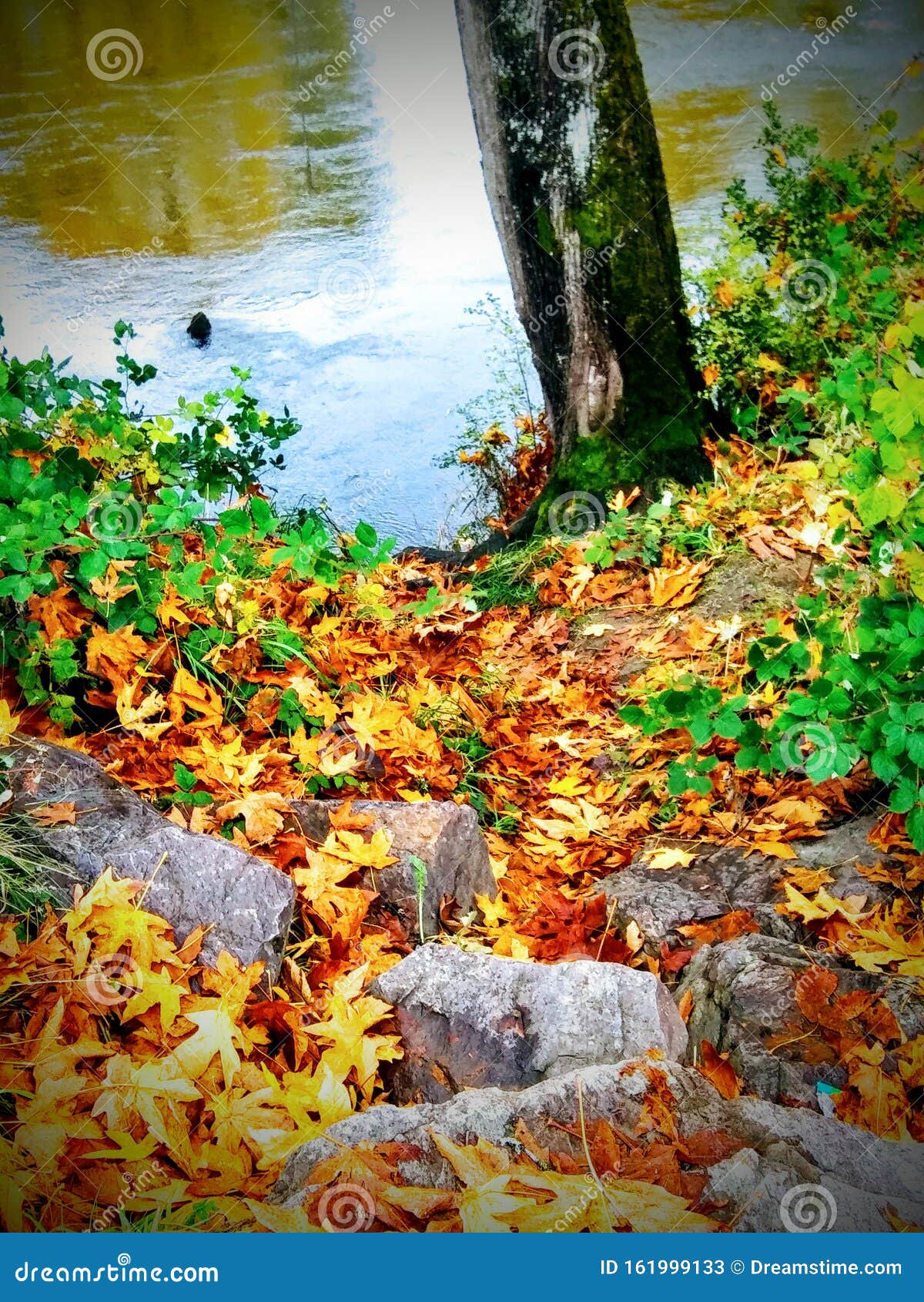 Path of stone stock image. Image of washington, path - 161999133