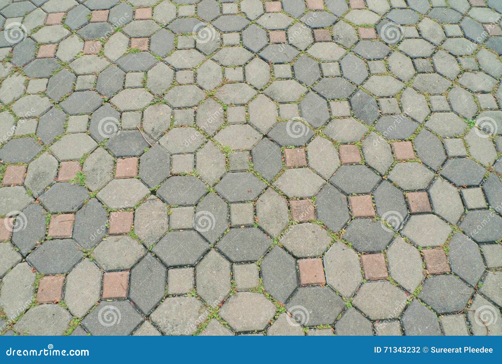 Path Stone walkway stock photo. Image of pasture, cobblestone - 71343232