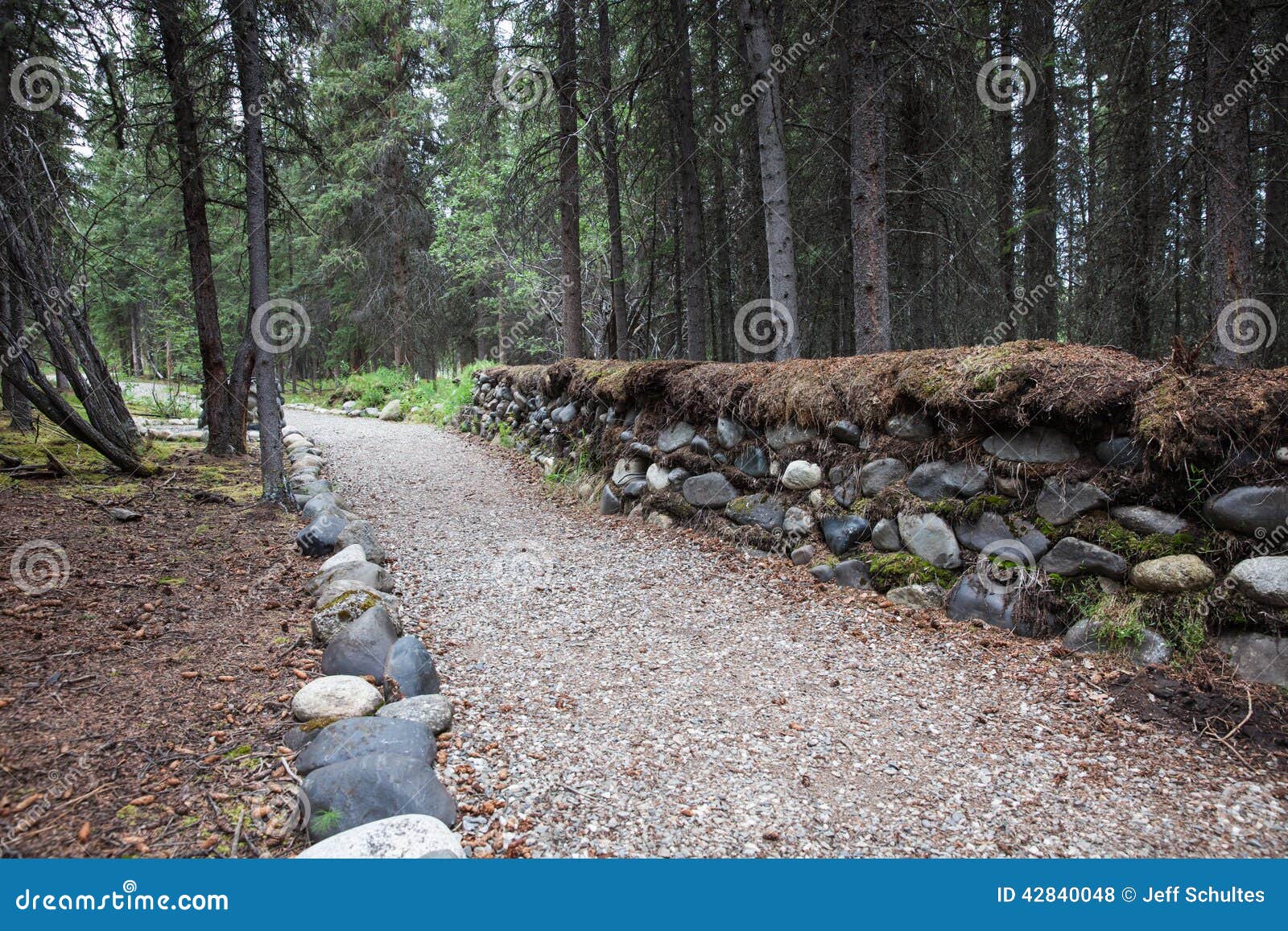 Path with a stone wall stock photo. Image of trail, moss - 42840048