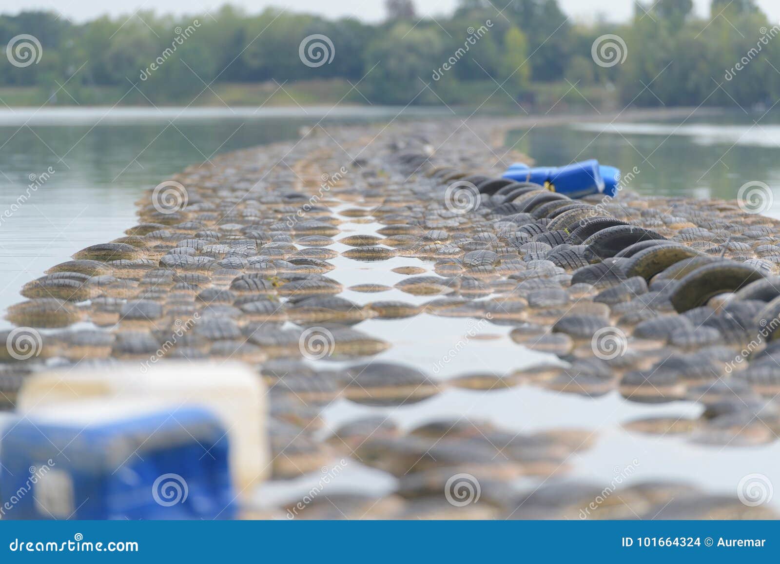 Path stones on lake stock photo. Image of preservation - 101664324