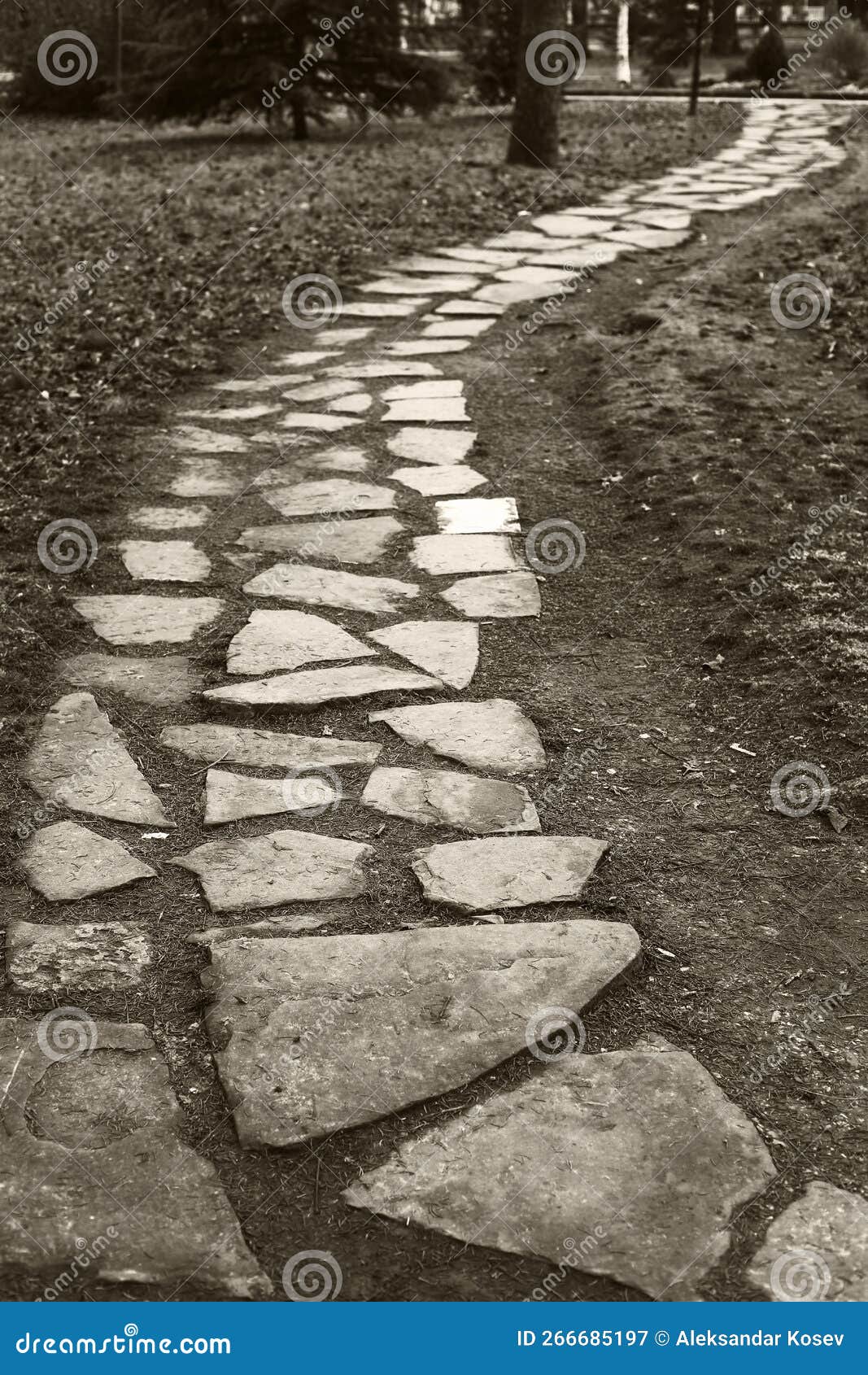 Path of stones stock image. Image of stone, walkway - 266685197