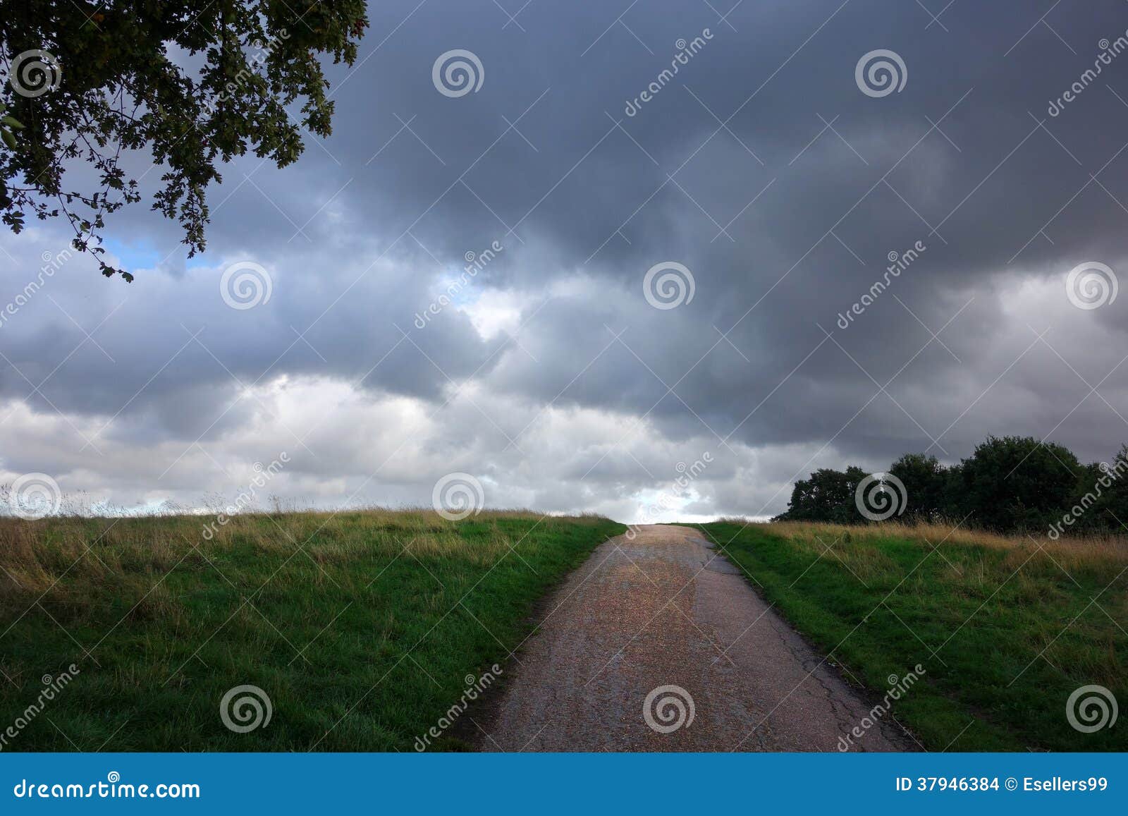 Path through the storm stock photo. Image of outdoors - 37946384