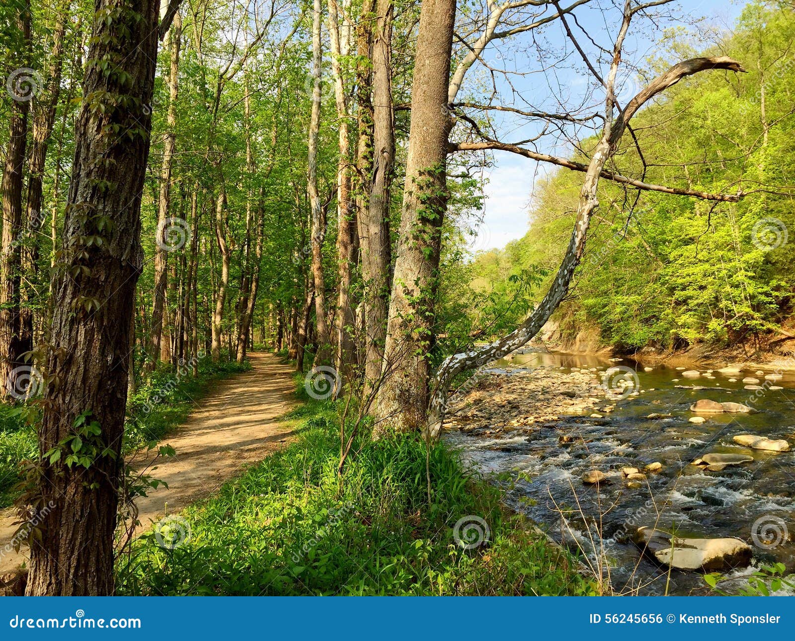 Path by the stream stock photo. Image of springtime, bedford - 56245656