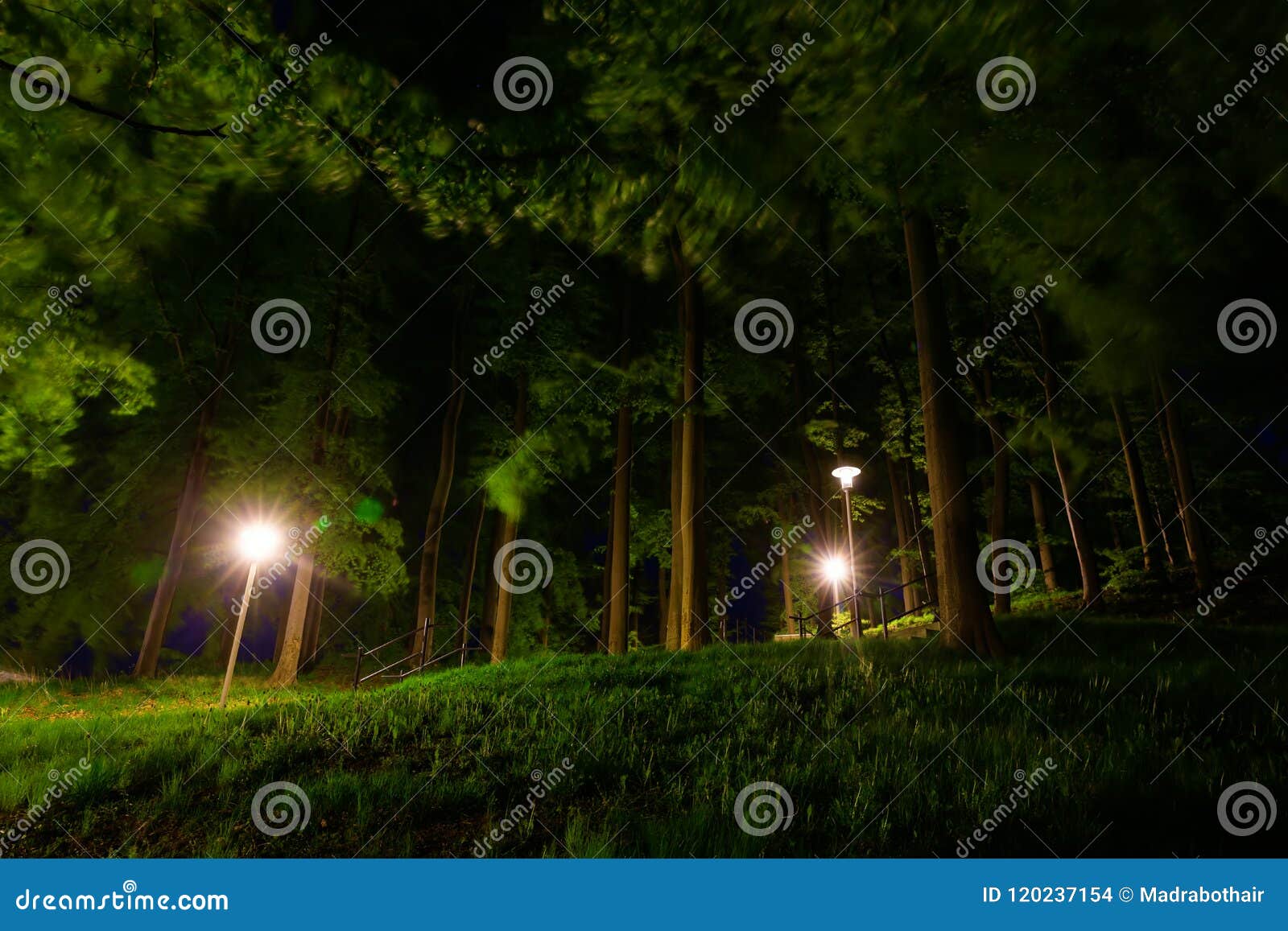Path with Street Lamps in the Forest at Night Stock Photo - Image of ...