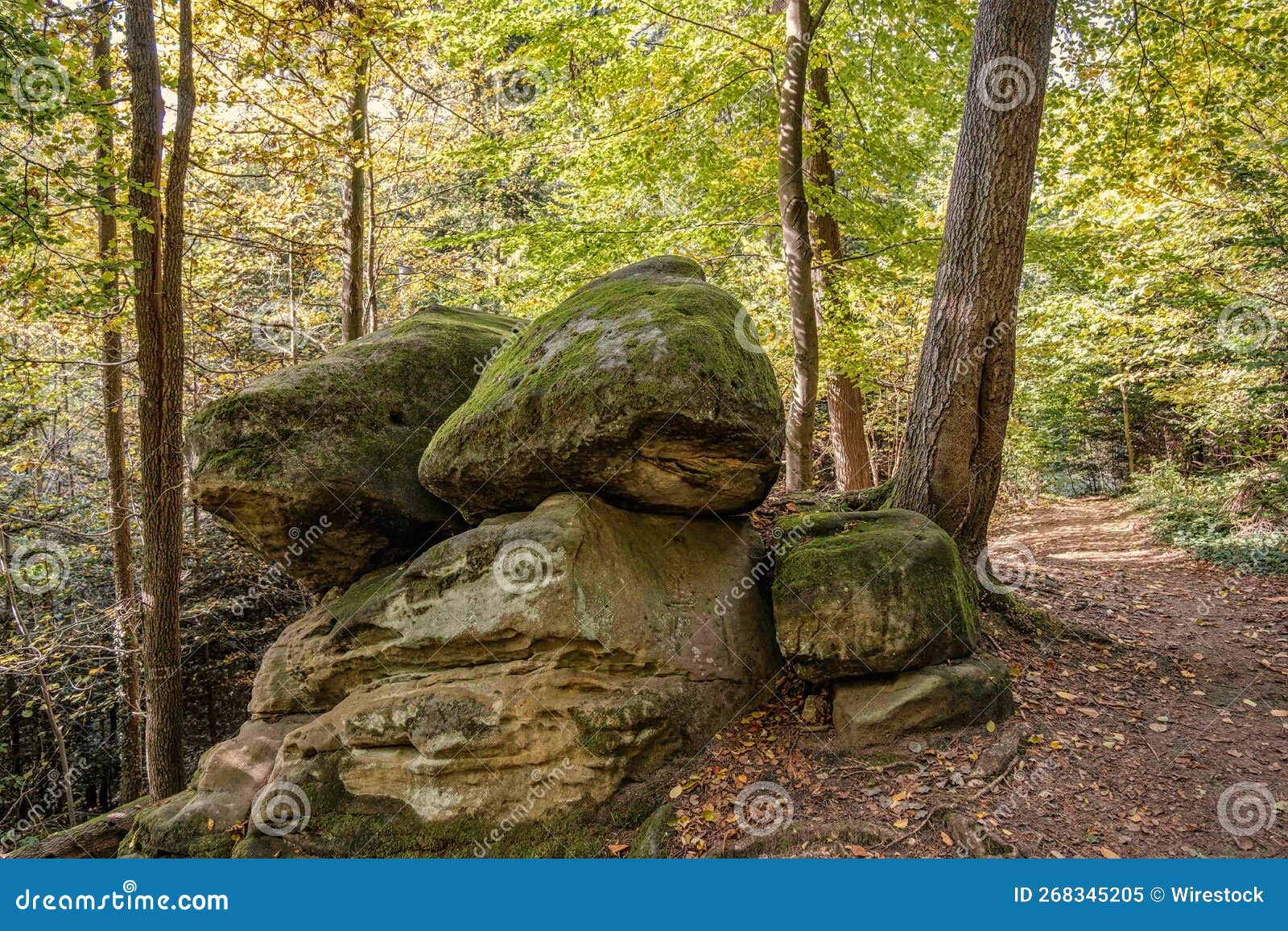Path Stretching Next To Huge Rocks in the Forest with Dense Trees Stock ...