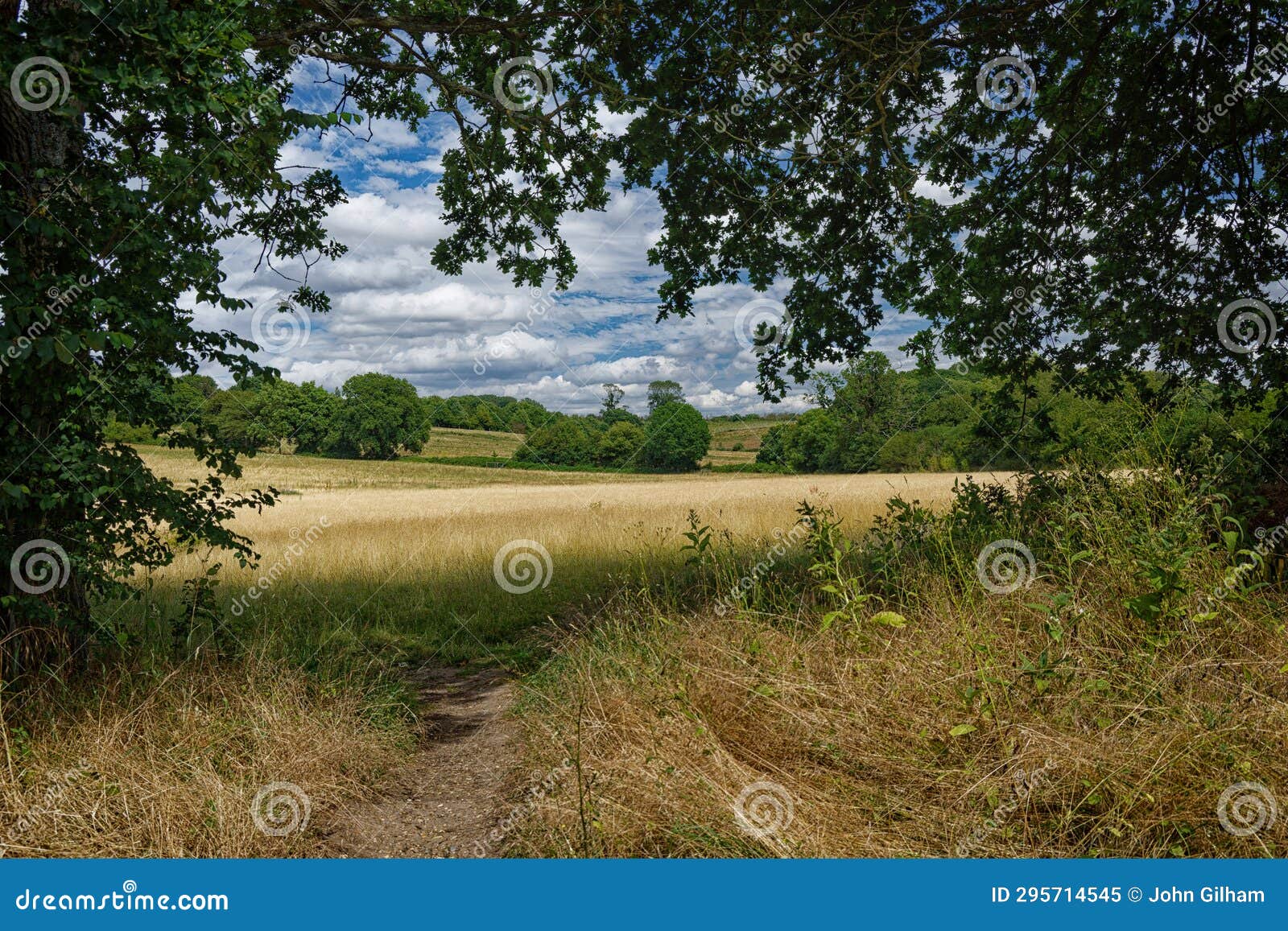 A Path into a Suffolk Field Stock Image - Image of summer, green: 295714545