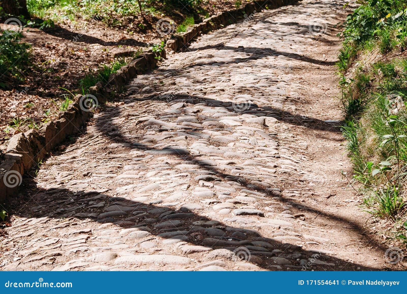 Path in summer forest stock image. Image of pathway - 171554641
