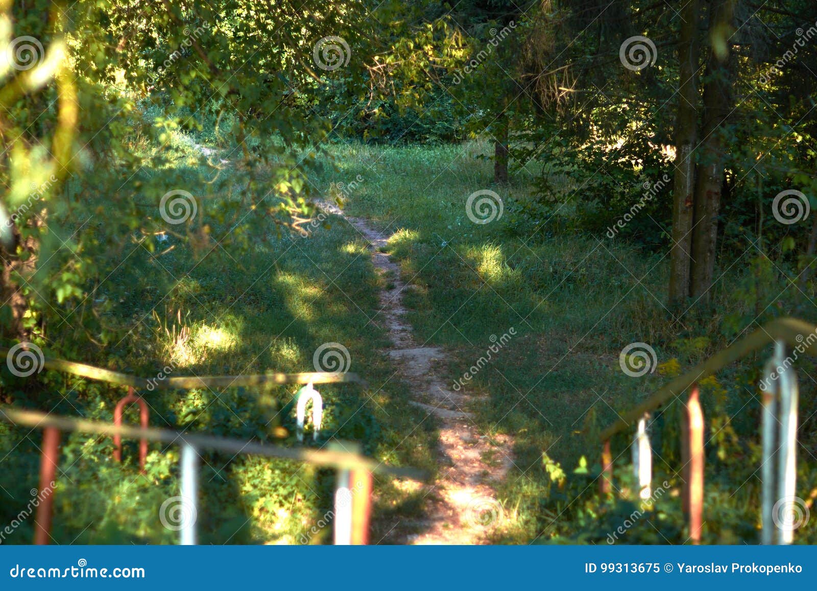 A Path in a Sunny September Day in the Park. Stock Image - Image of ...