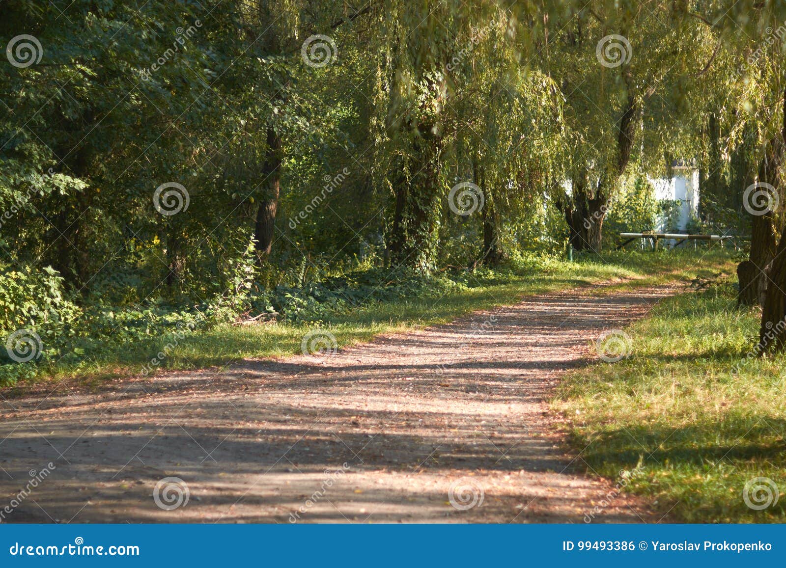 A Path in a Sunny September Day in the Park. Stock Photo - Image of ...