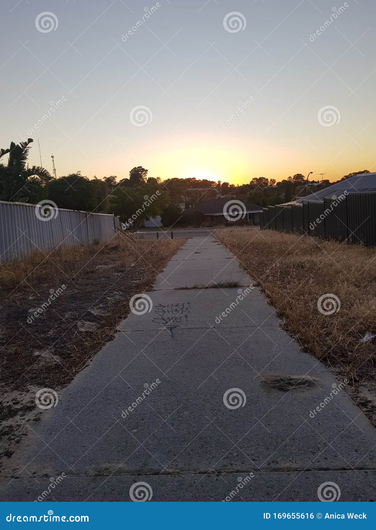 Path in the sunset stock photo. Image of path, aesthetic - 169655616